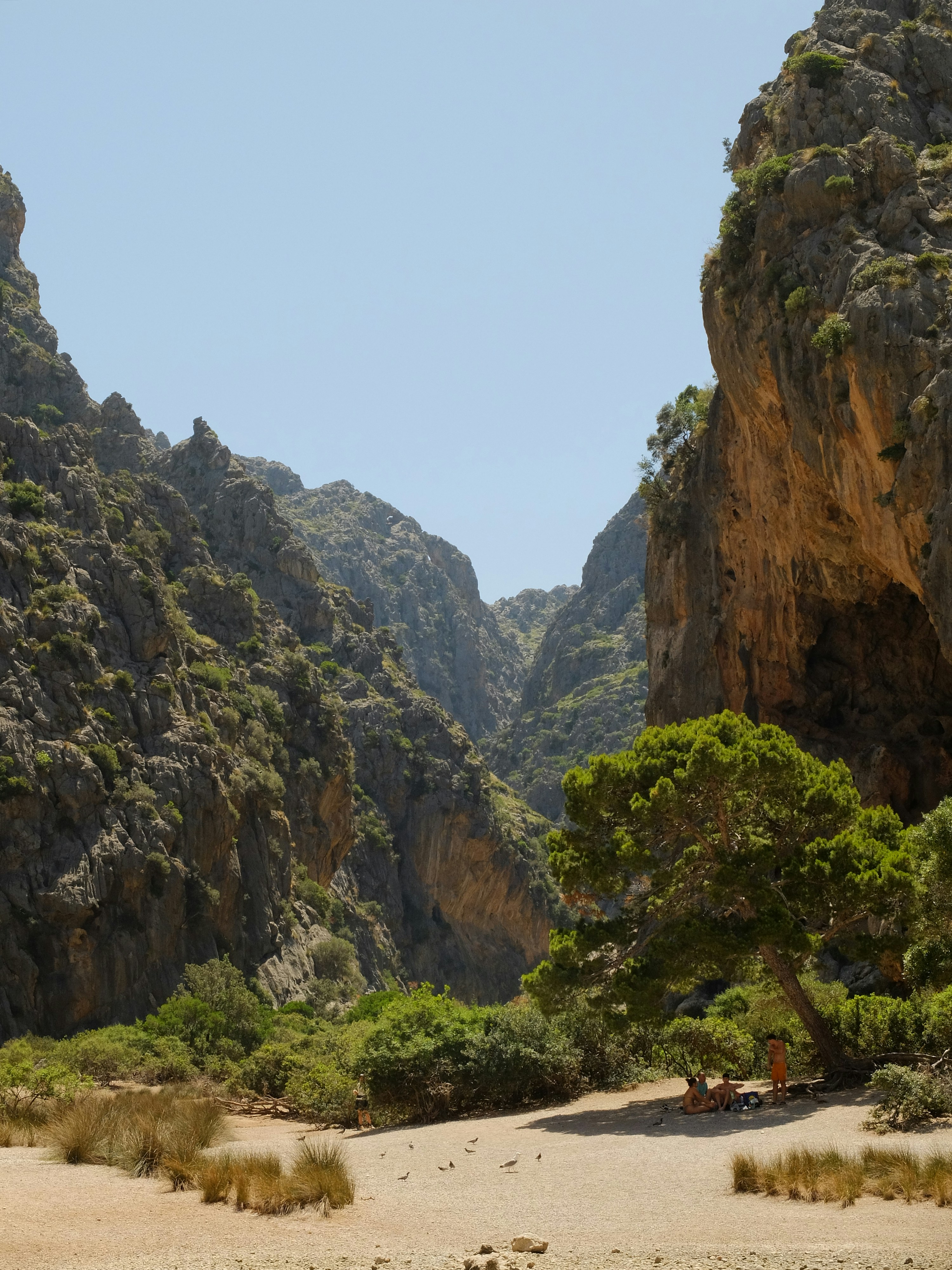 Sunlit canyon walls rise on either side of a sandy patch with sparse desert shrubs and a tiny shaded resting area beneath a pine grove.