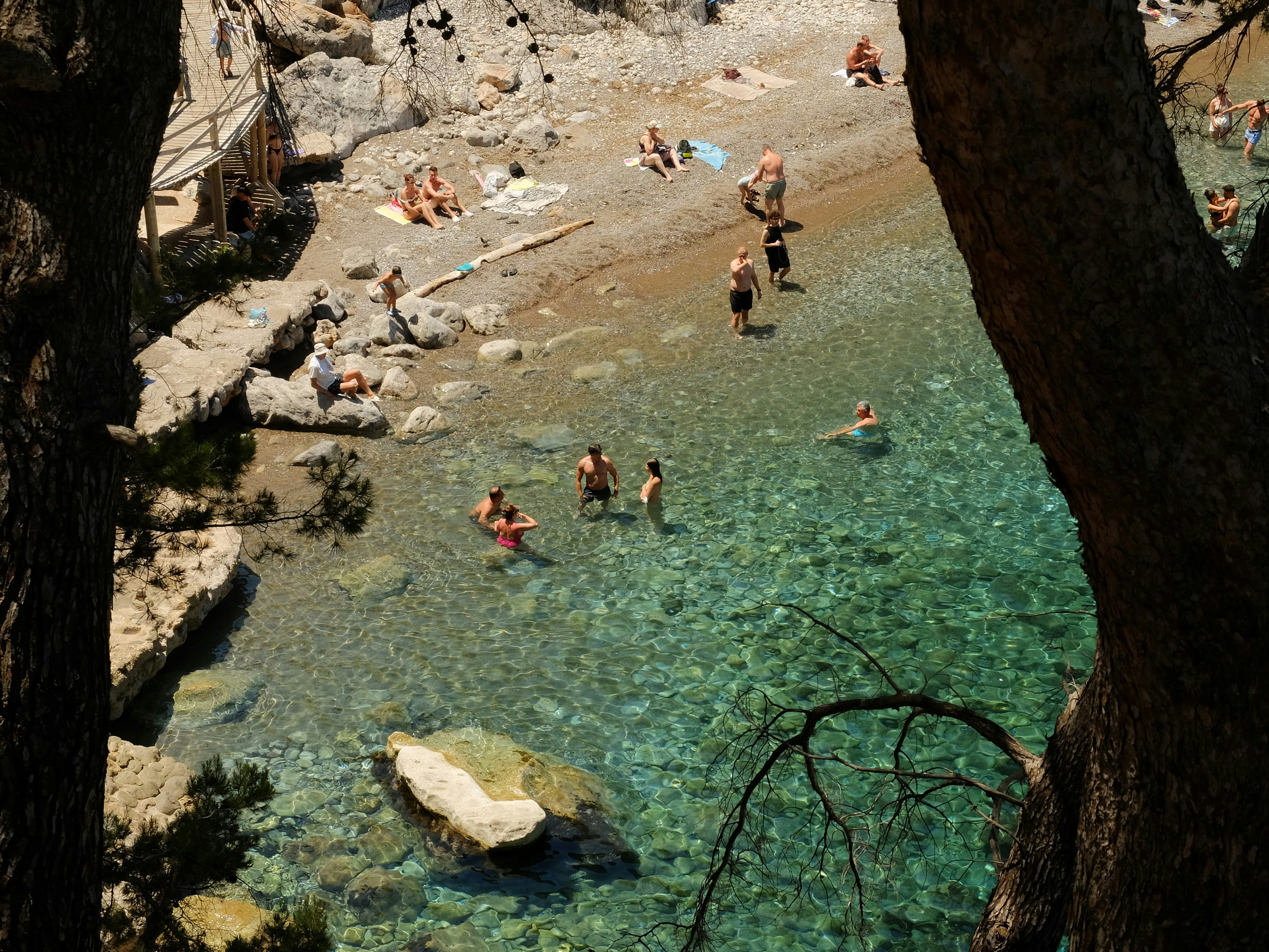 Emerald Cove: Sunlit Swim Beneath Cedar Arches