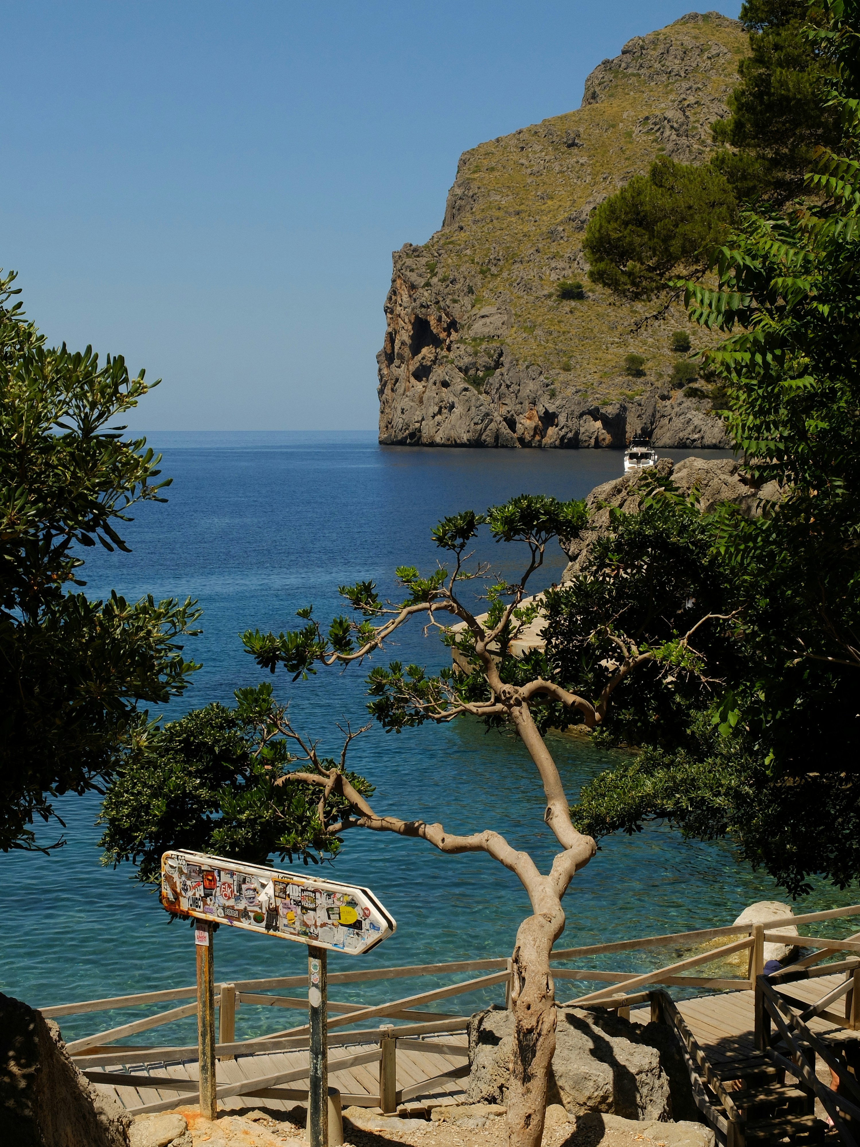 Coastal Cliff Baseline: A Quiet Path by the Sea