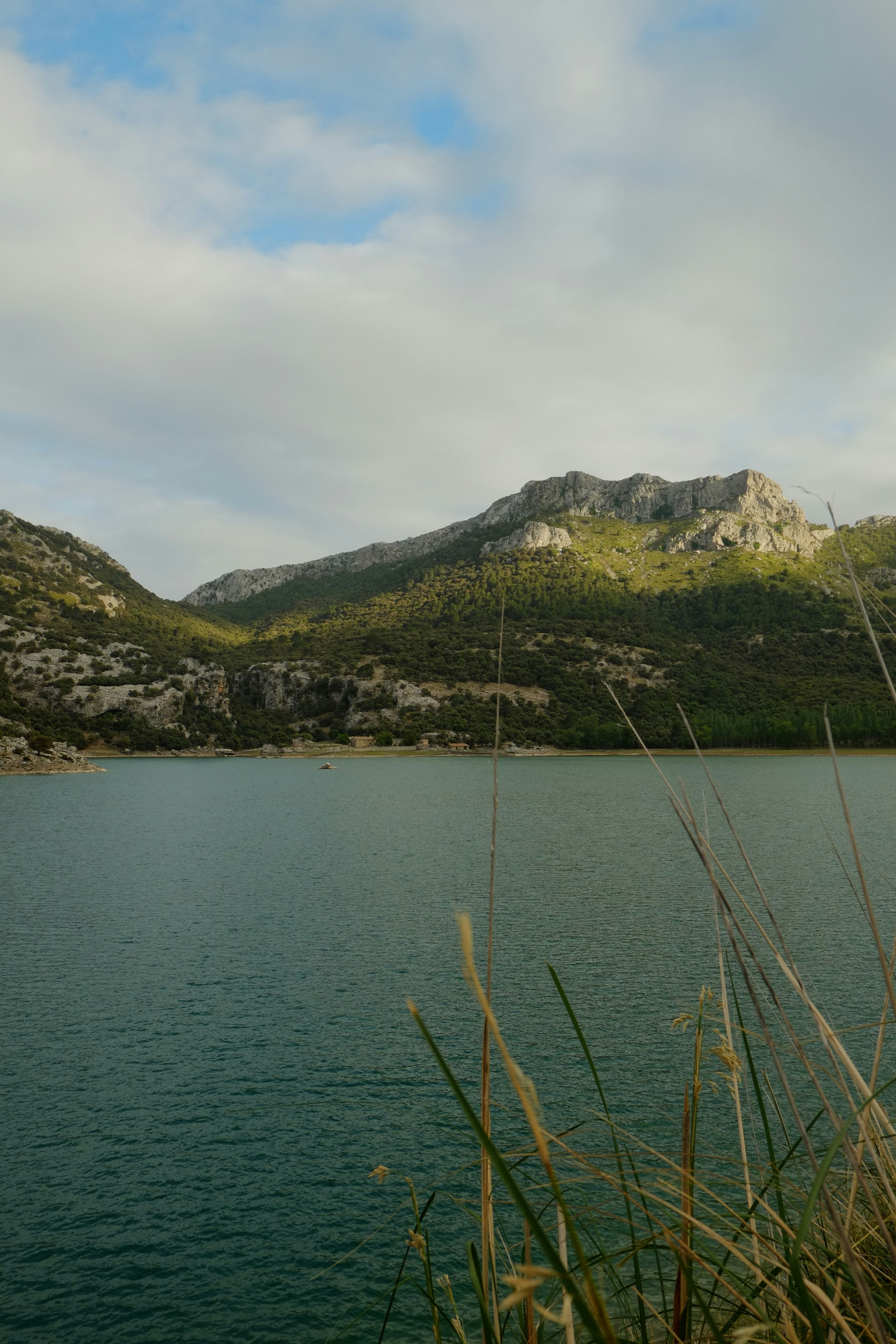Calm lake mirrors a rugged mountain range beneath a soft, partly cloudy sky; foreground grasses frame the tranquil scene.