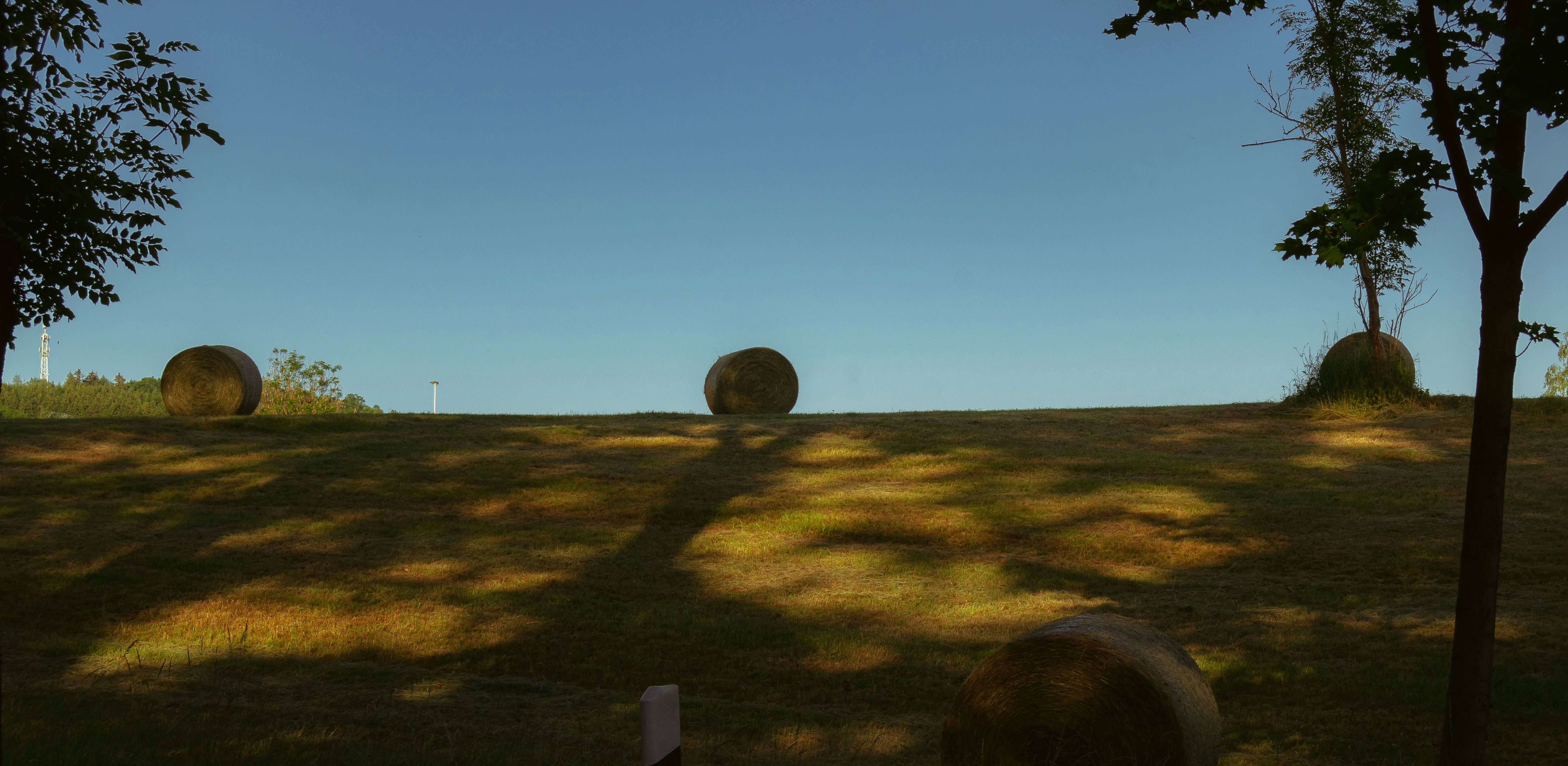 Horizon of Hay Bales under a Quiet Blue Sky