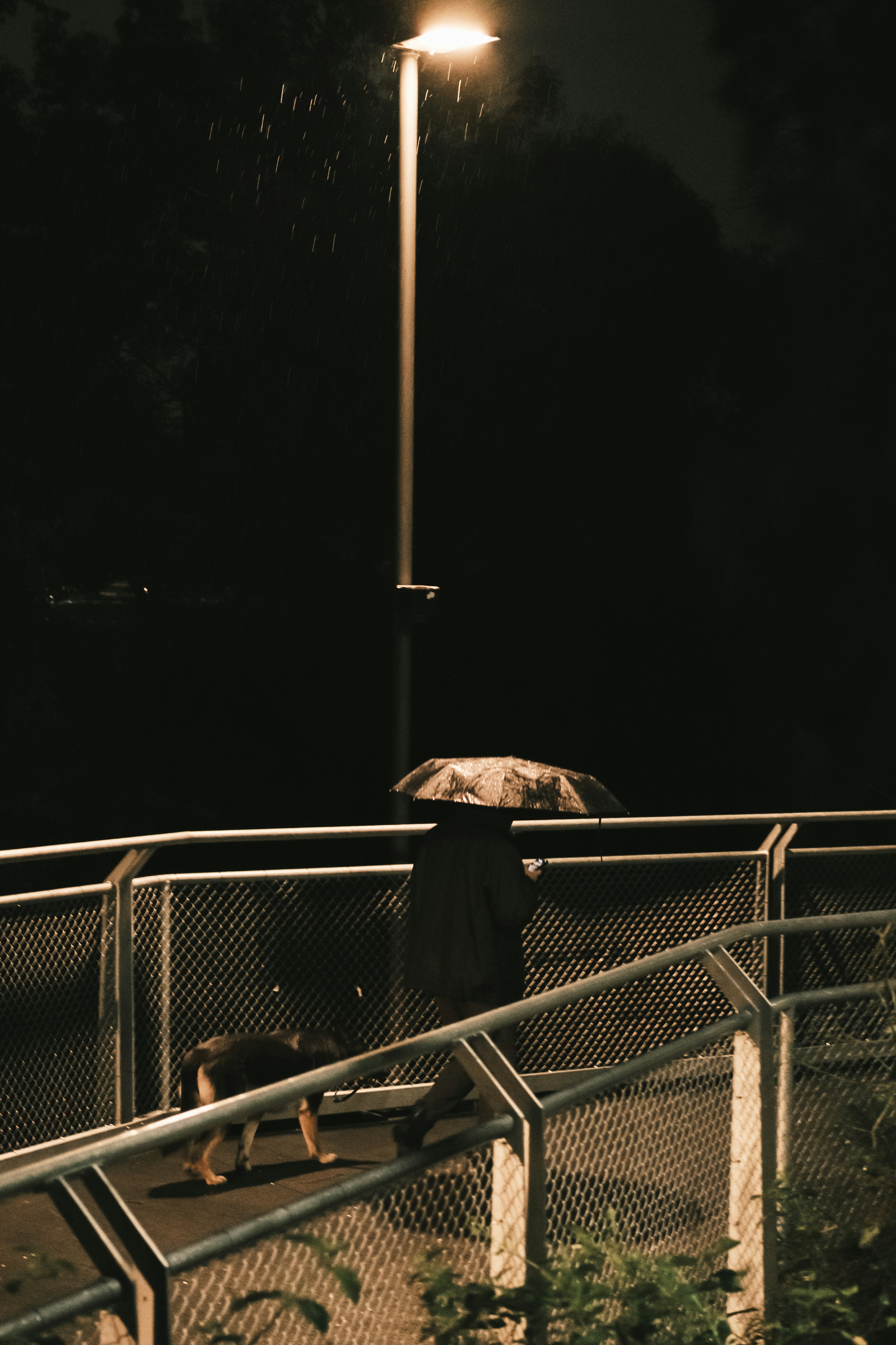 Umbrella in the Rain on a Quiet Night Bridge