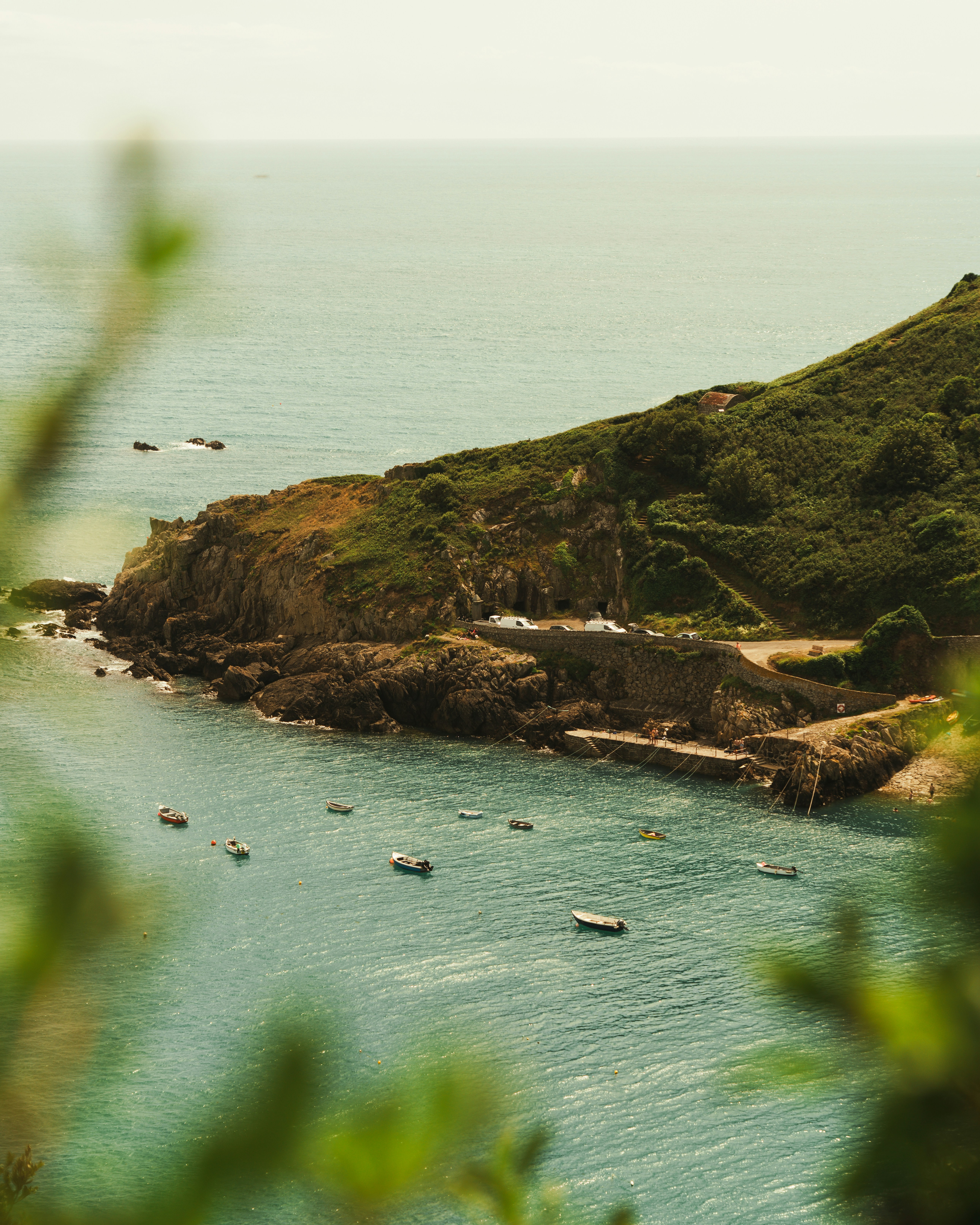 Harbor in the Green Cove