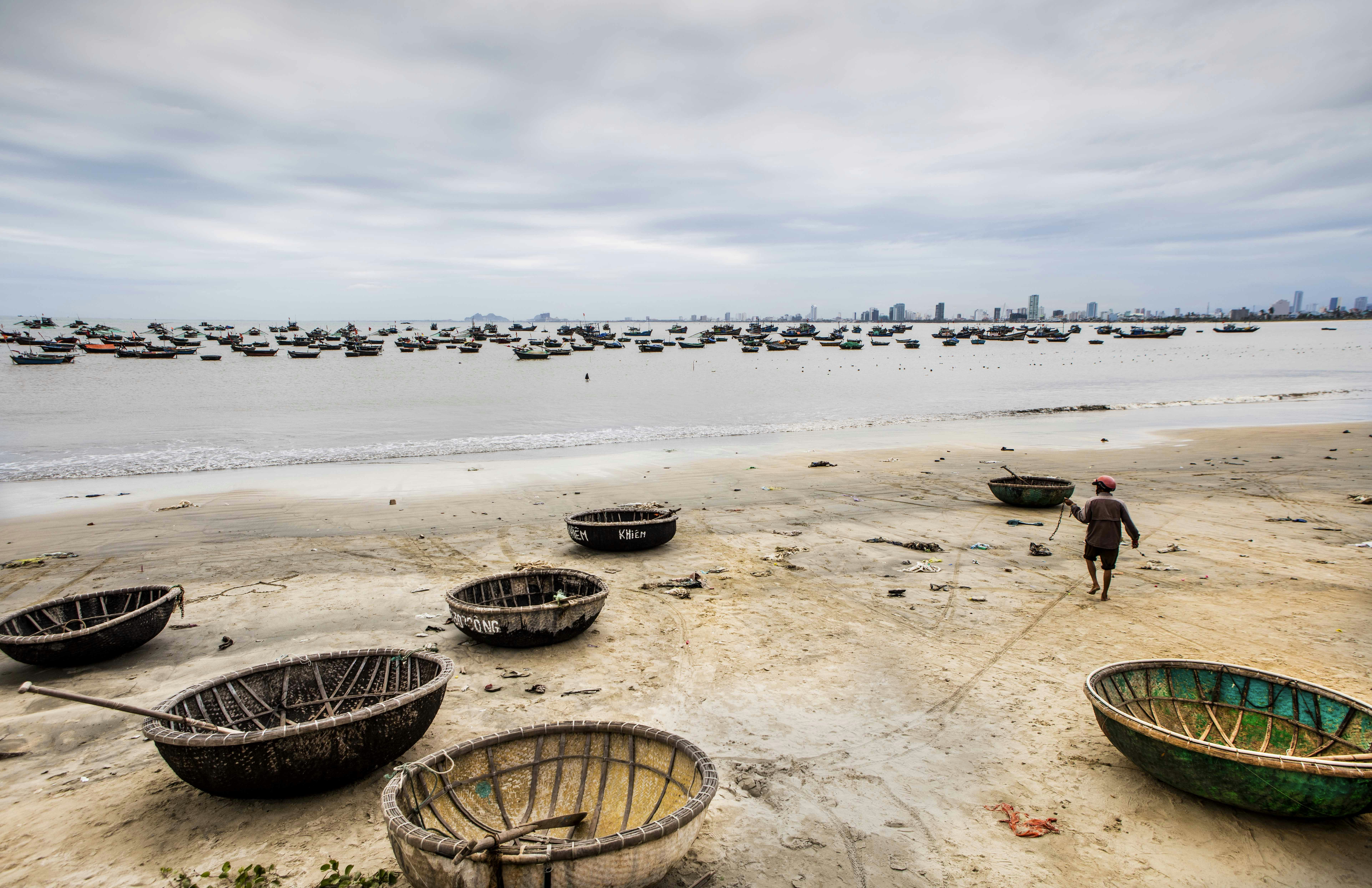 Boats on a Quiet Shore: A Fleet Beyond the Tidal Line