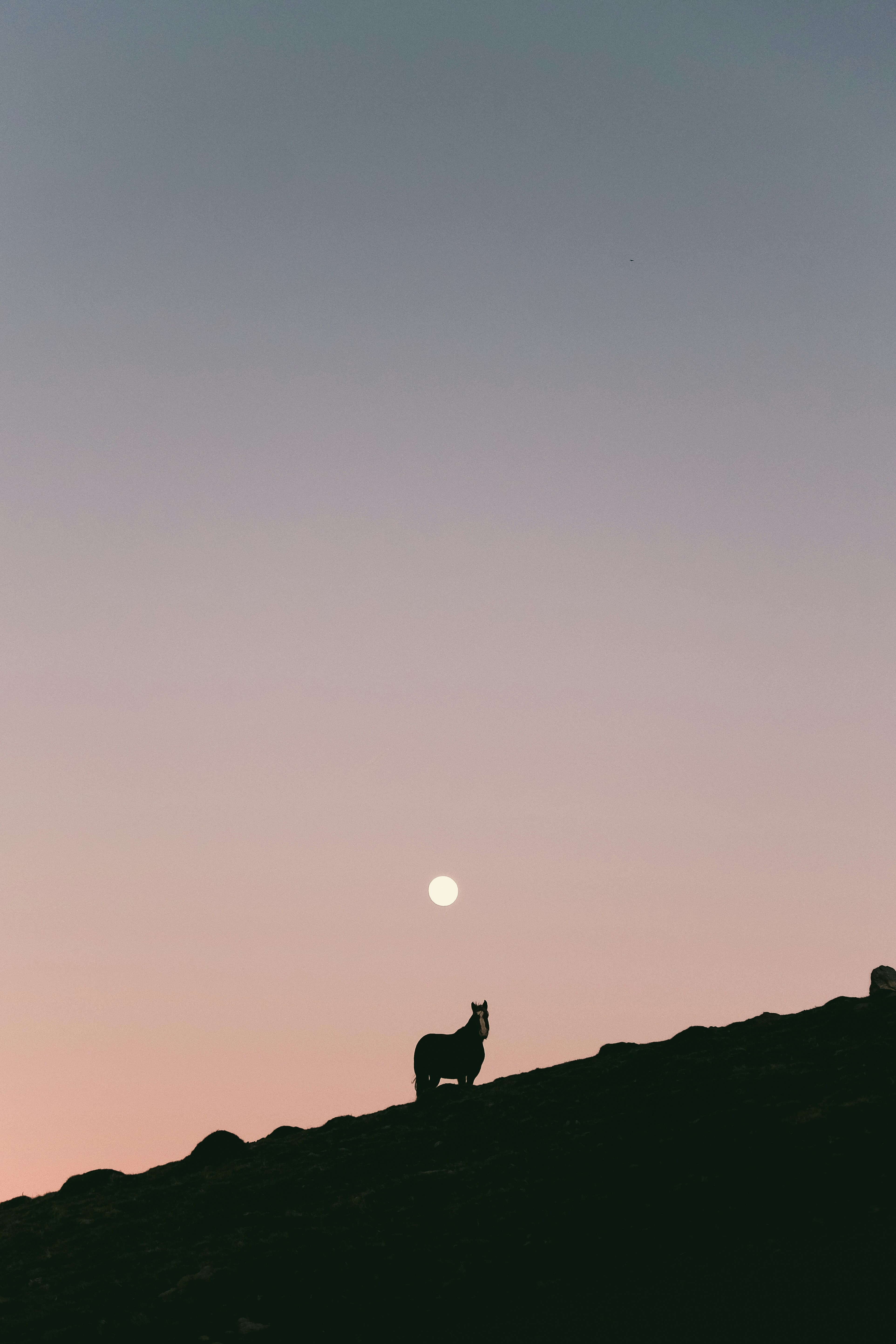 Silhouette of a lone horse standing on a ridge at dusk with a pale moon rising, pastel sky fading from peach to blue. A minimal, contemplative landscape composition.