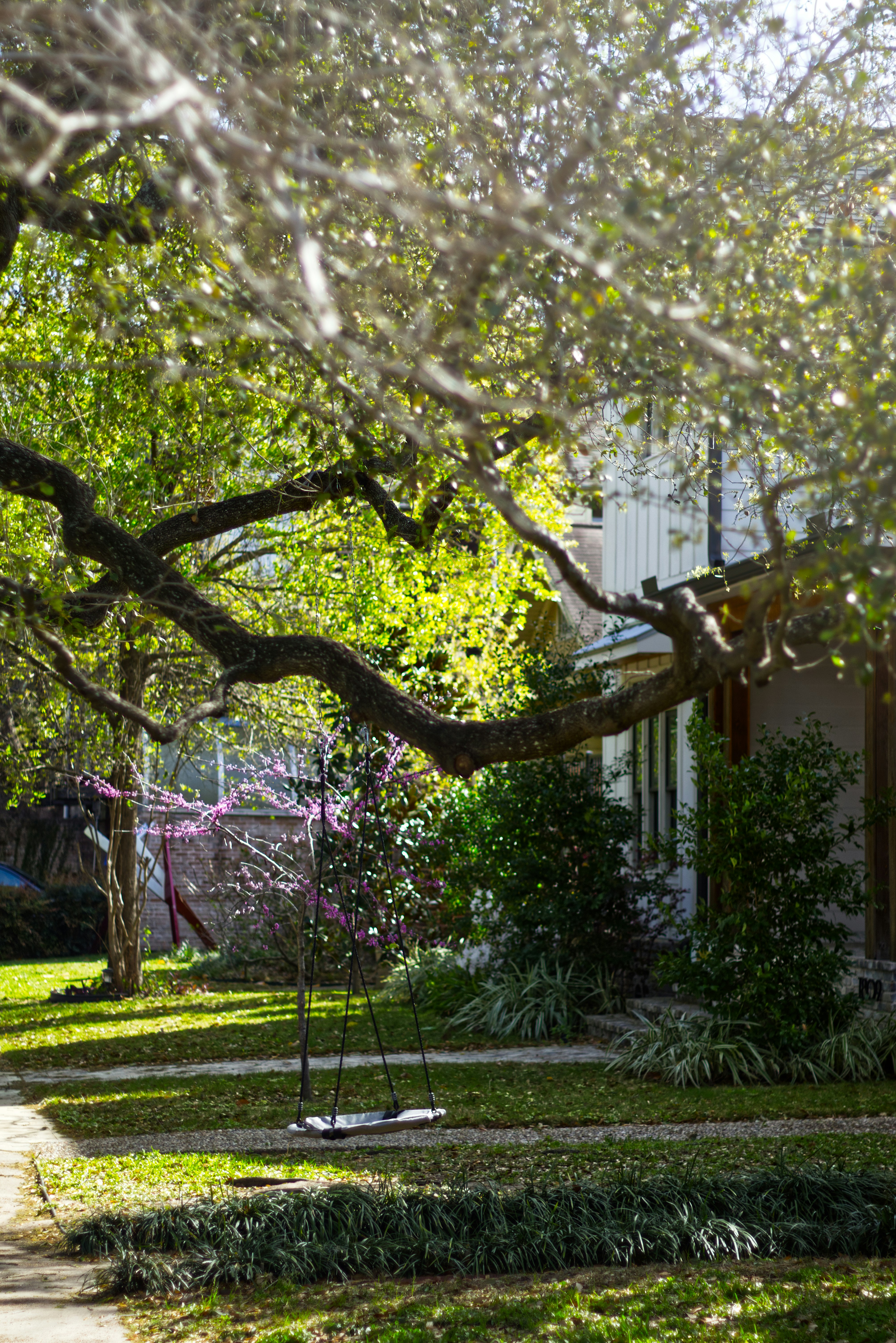 Sunlit Backyard Swing Beneath a Shaded Canopy