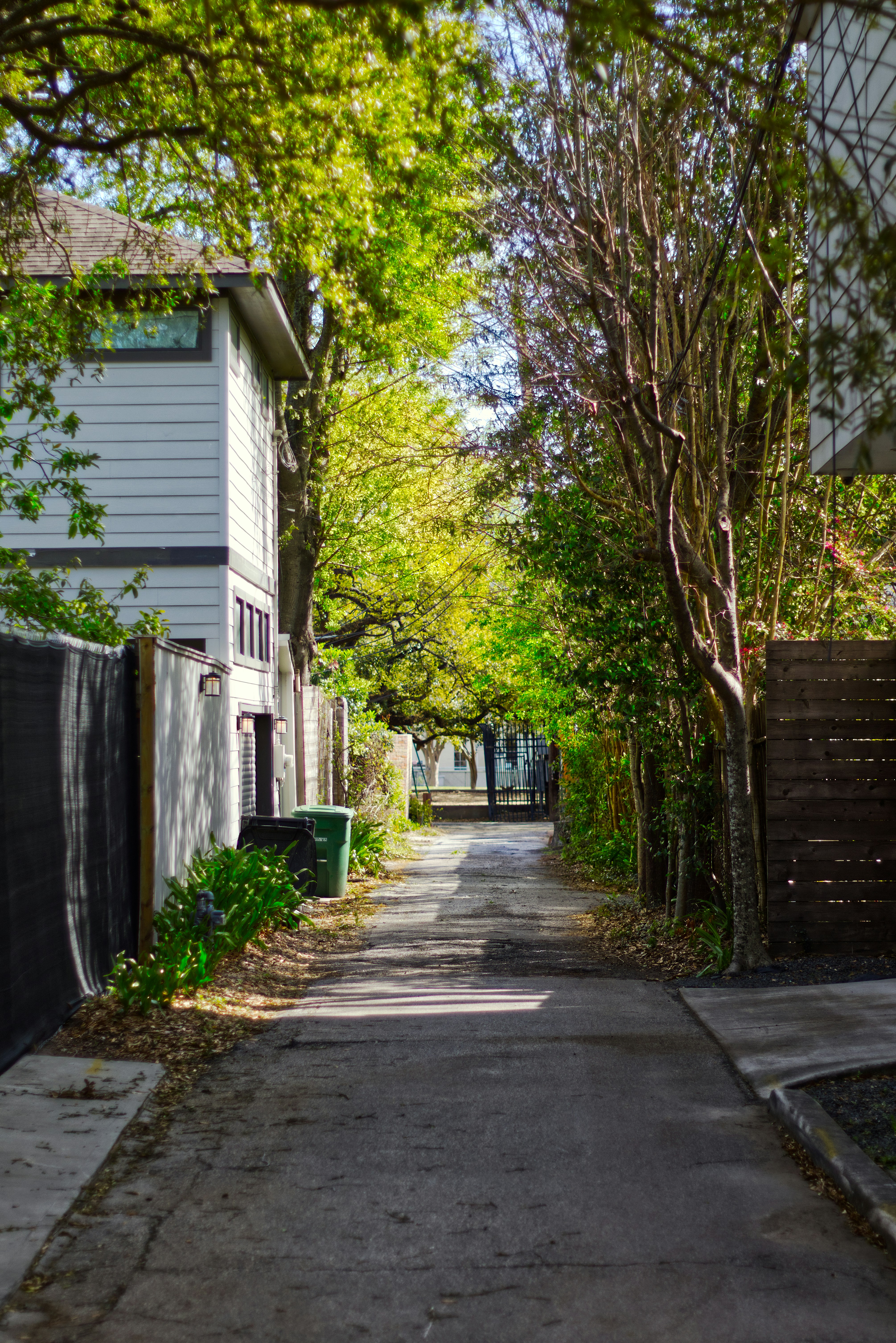 Dappled Alleyway: A Quiet Corridor Between Homes