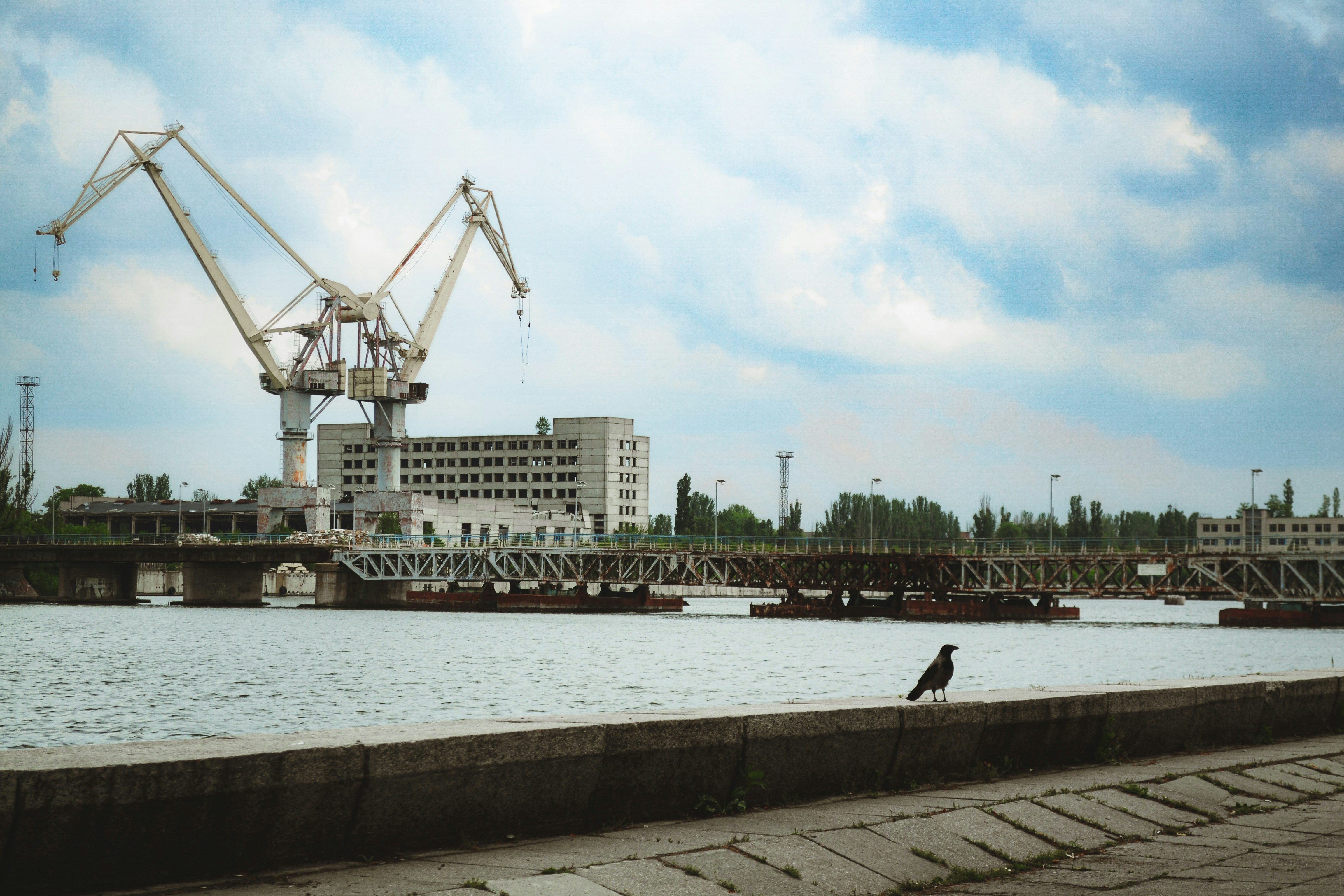 Bird at the Edge of the Theoretical Bridge