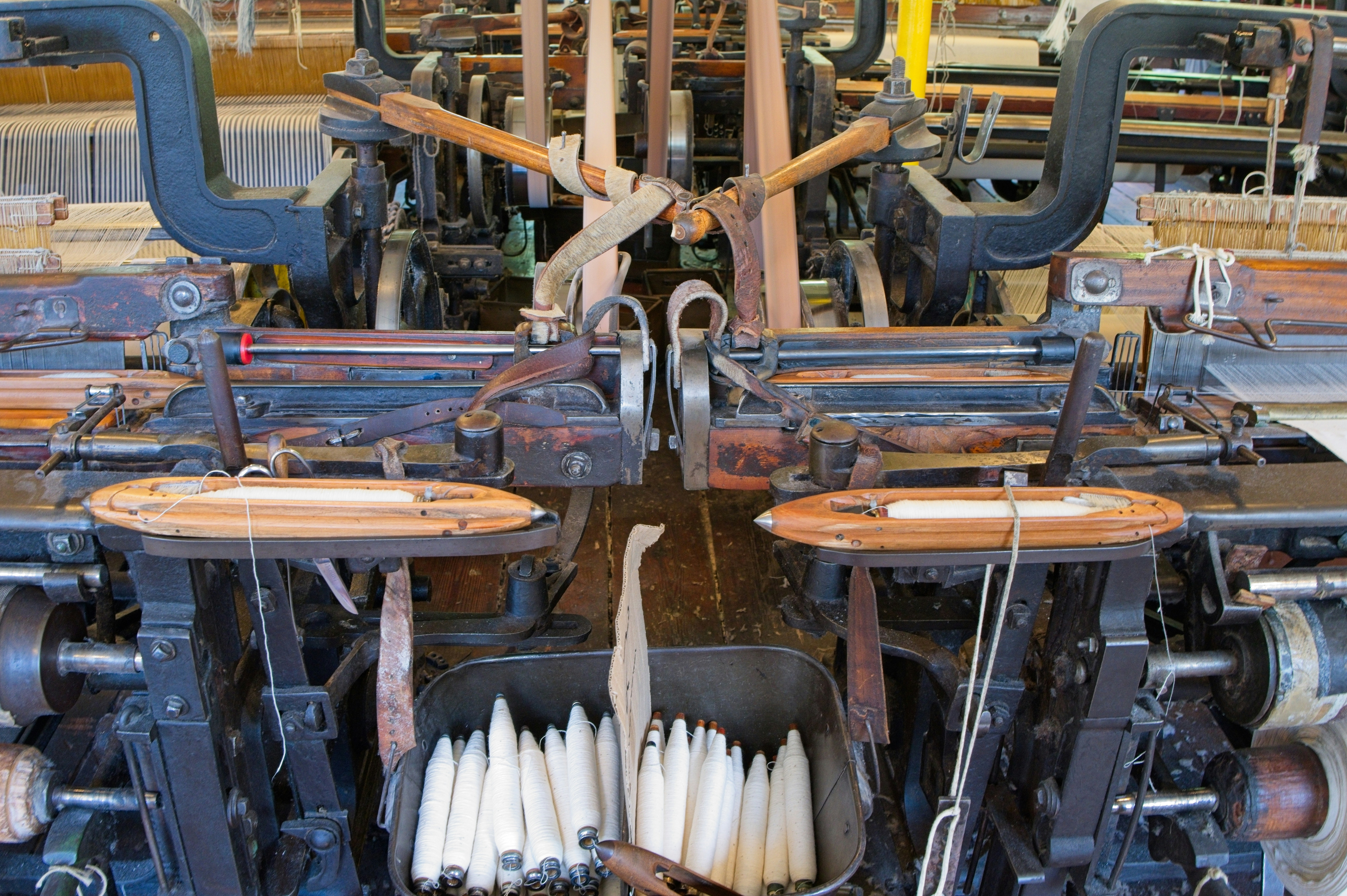 Symmetry of Precision: Irrigation Teeth in a Machinery Core