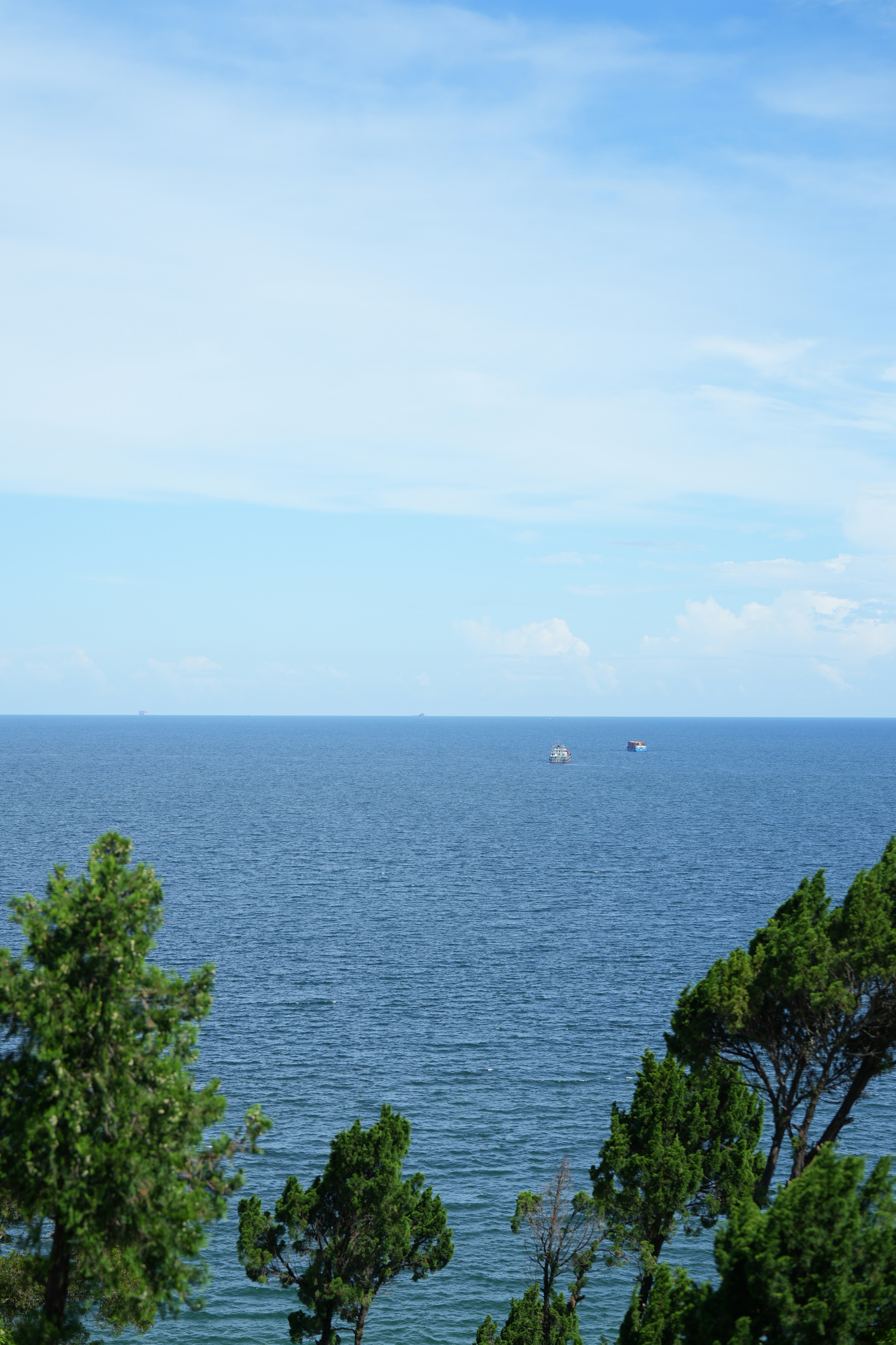 Calm coastal scene with a distant horizon over a quiet sea, framed by pine trees in the foreground. A minimal composition emphasizing open sky and tranquil water.