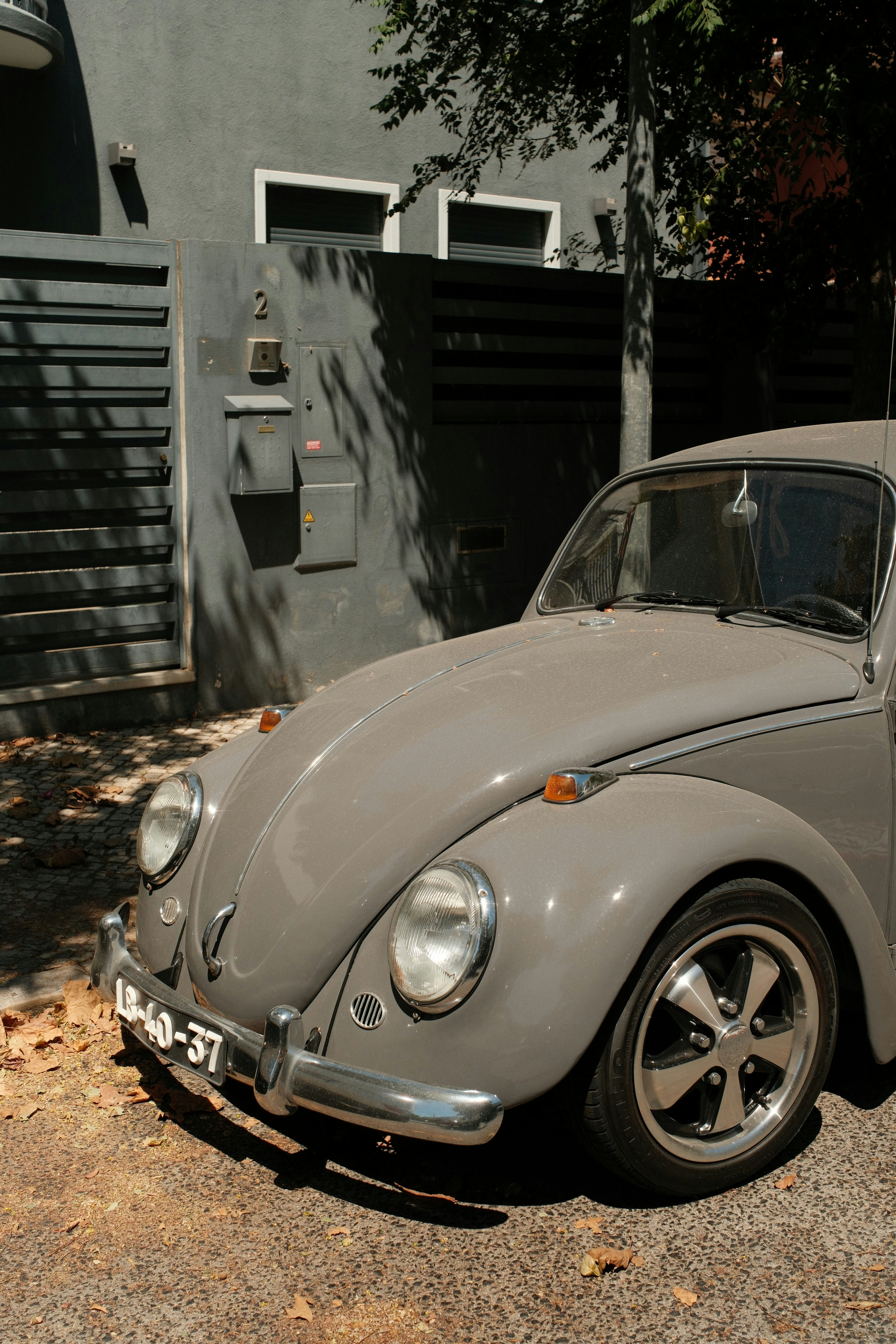Vintage Beetle Resting in Dappled Shade