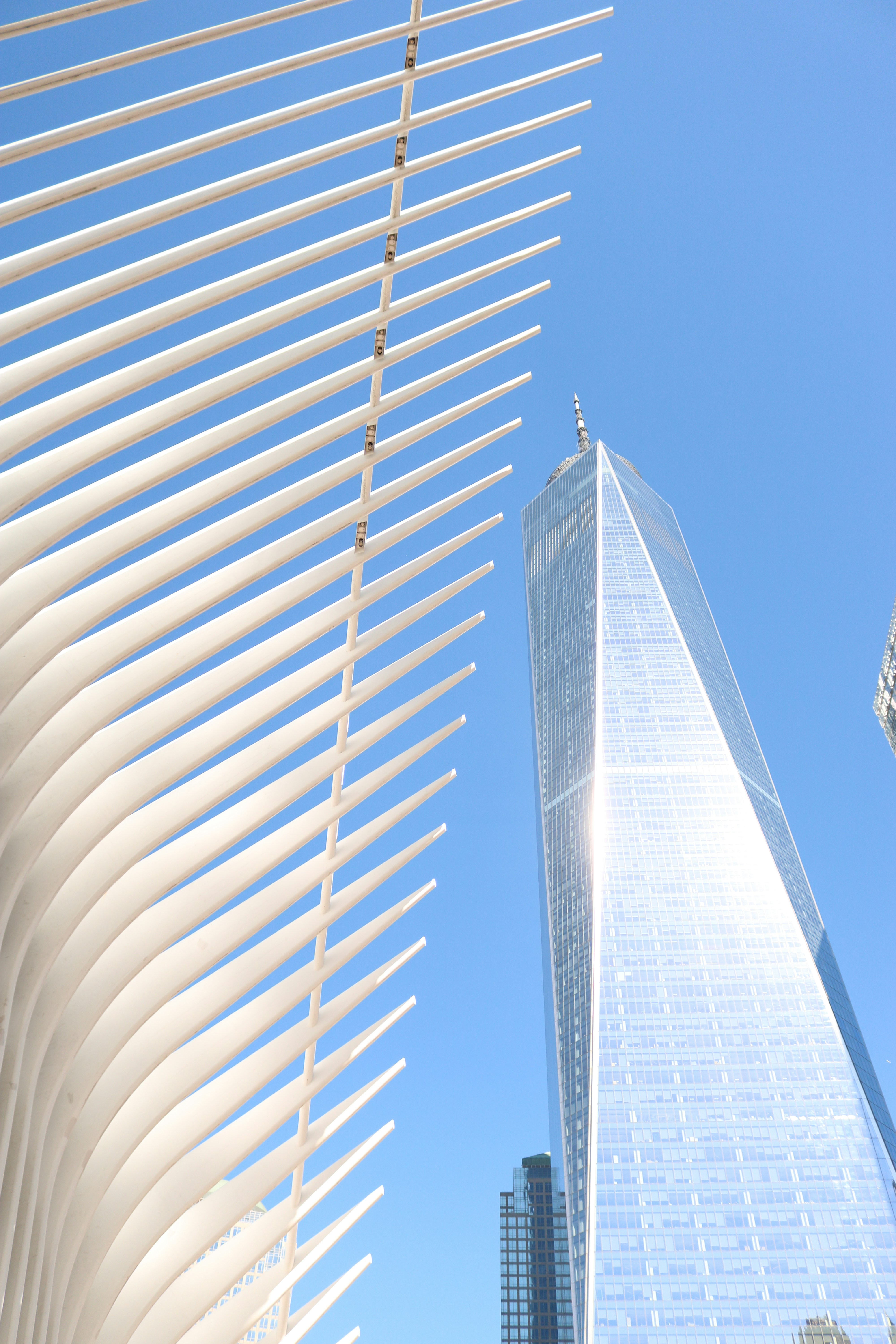 Skylines and Sunlit Rails: A Modern Arch View