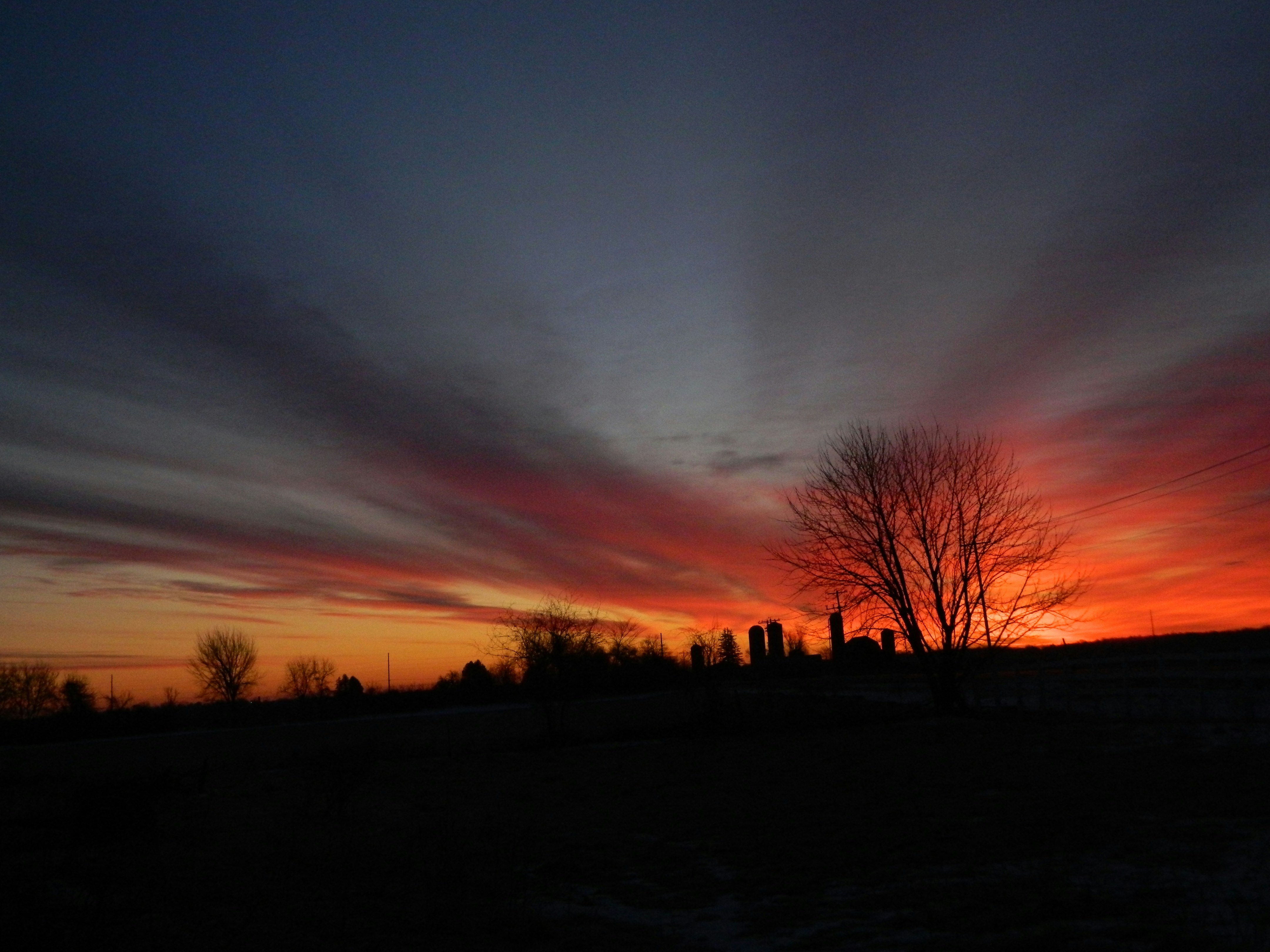 Silhouette at Dusk: A lone tree against a fiery horizon