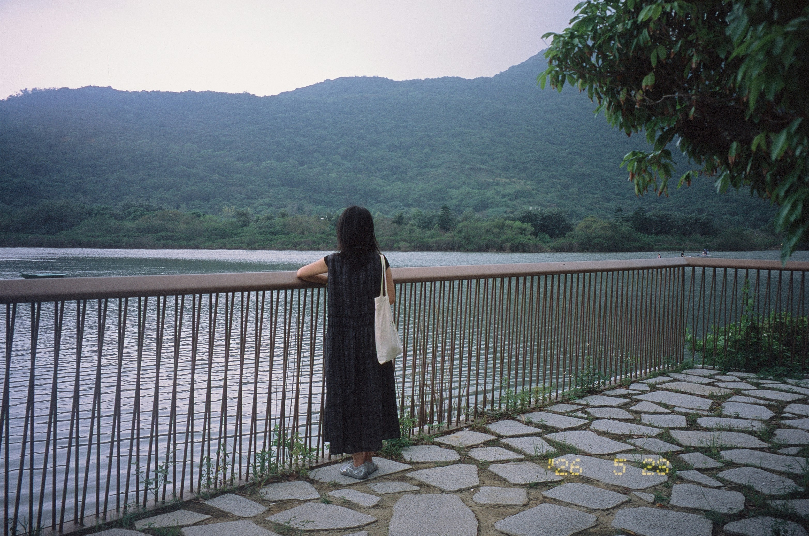 Riverfront Reverie: A Silhouette Gaze Over Tranquil Waters