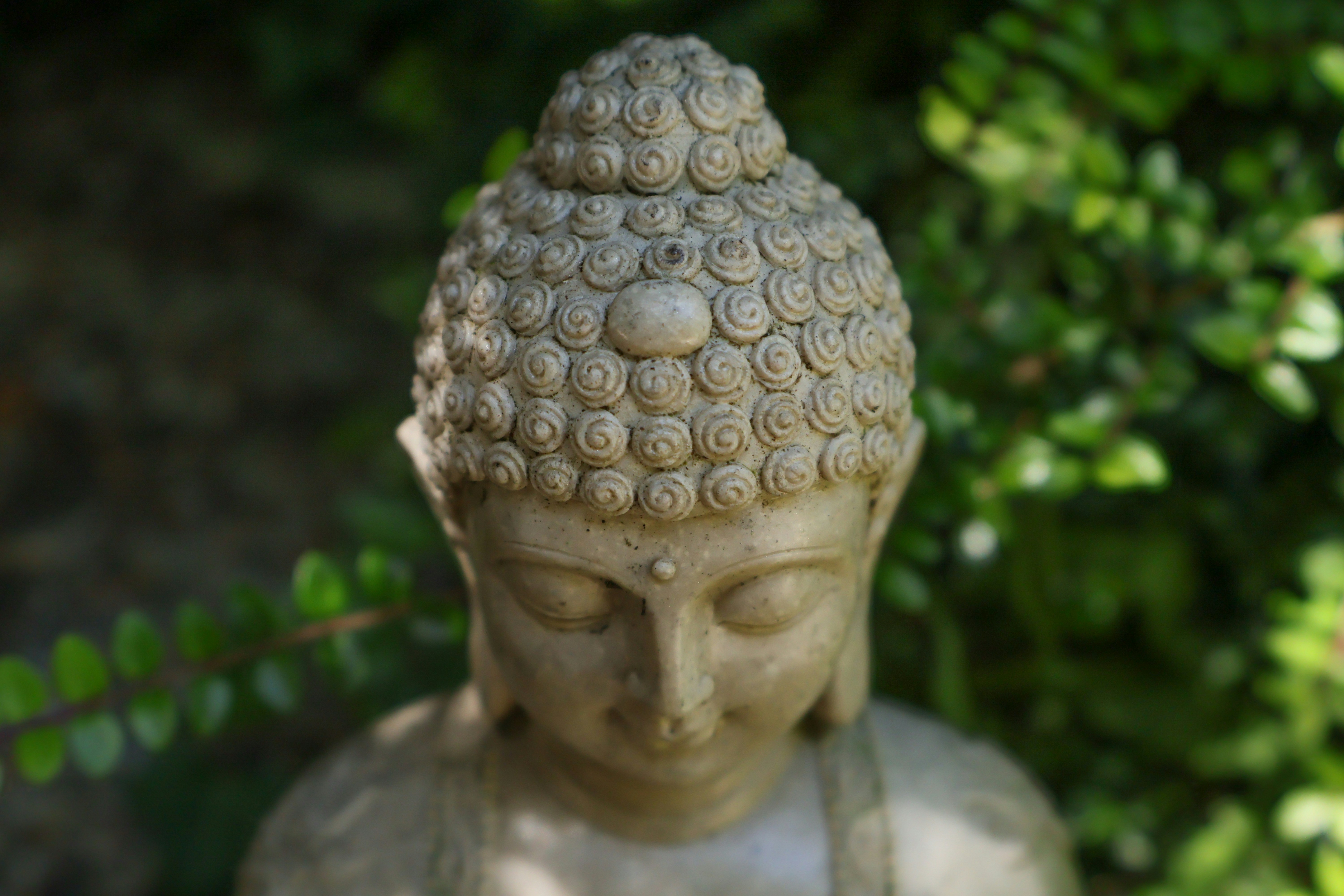 Serene Statue, Quiet Garden: A Buddhas's Calm Amid Greenery