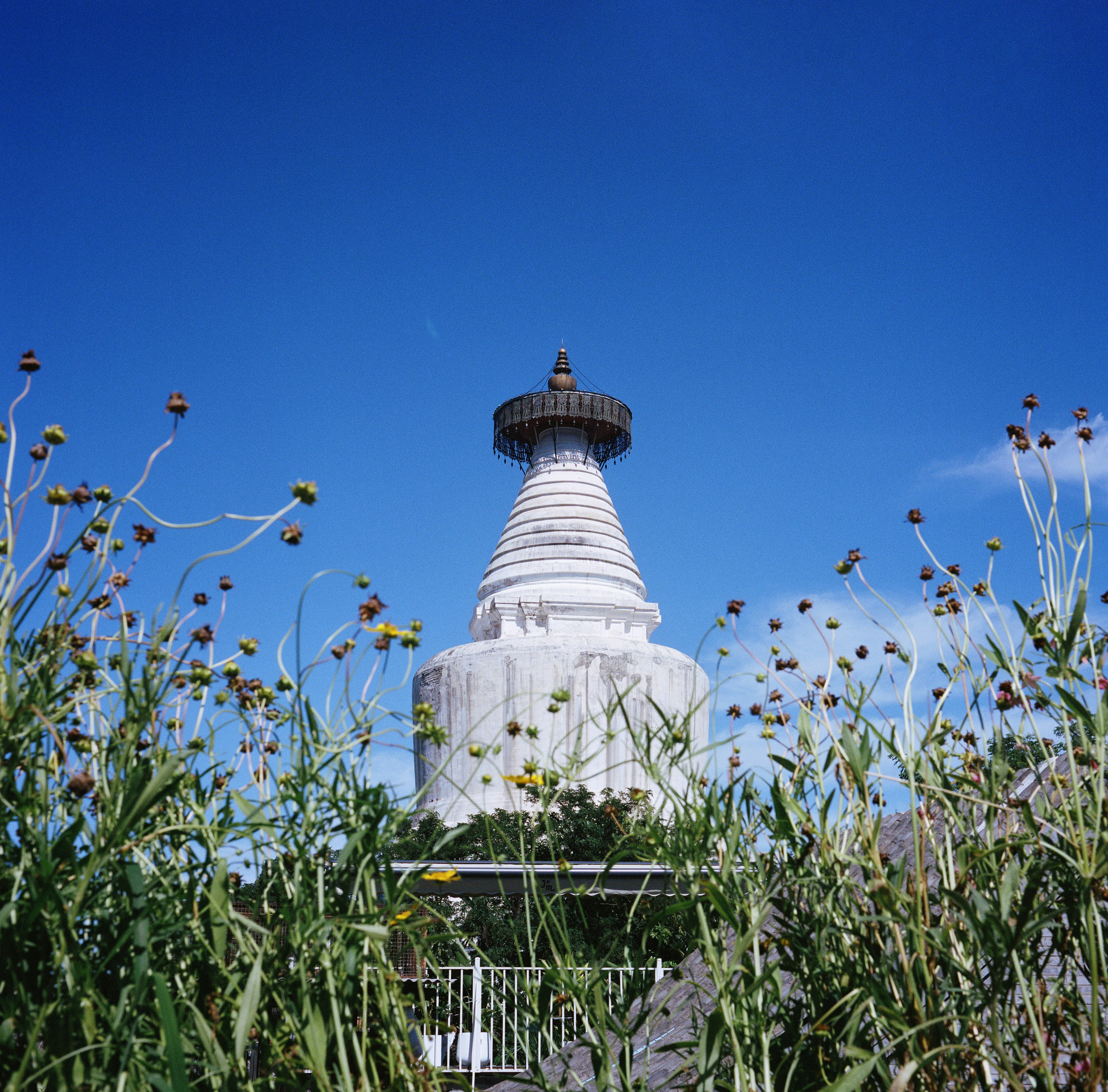 White Stupa Rising Through Wildflowers under a Clear Blue Sky