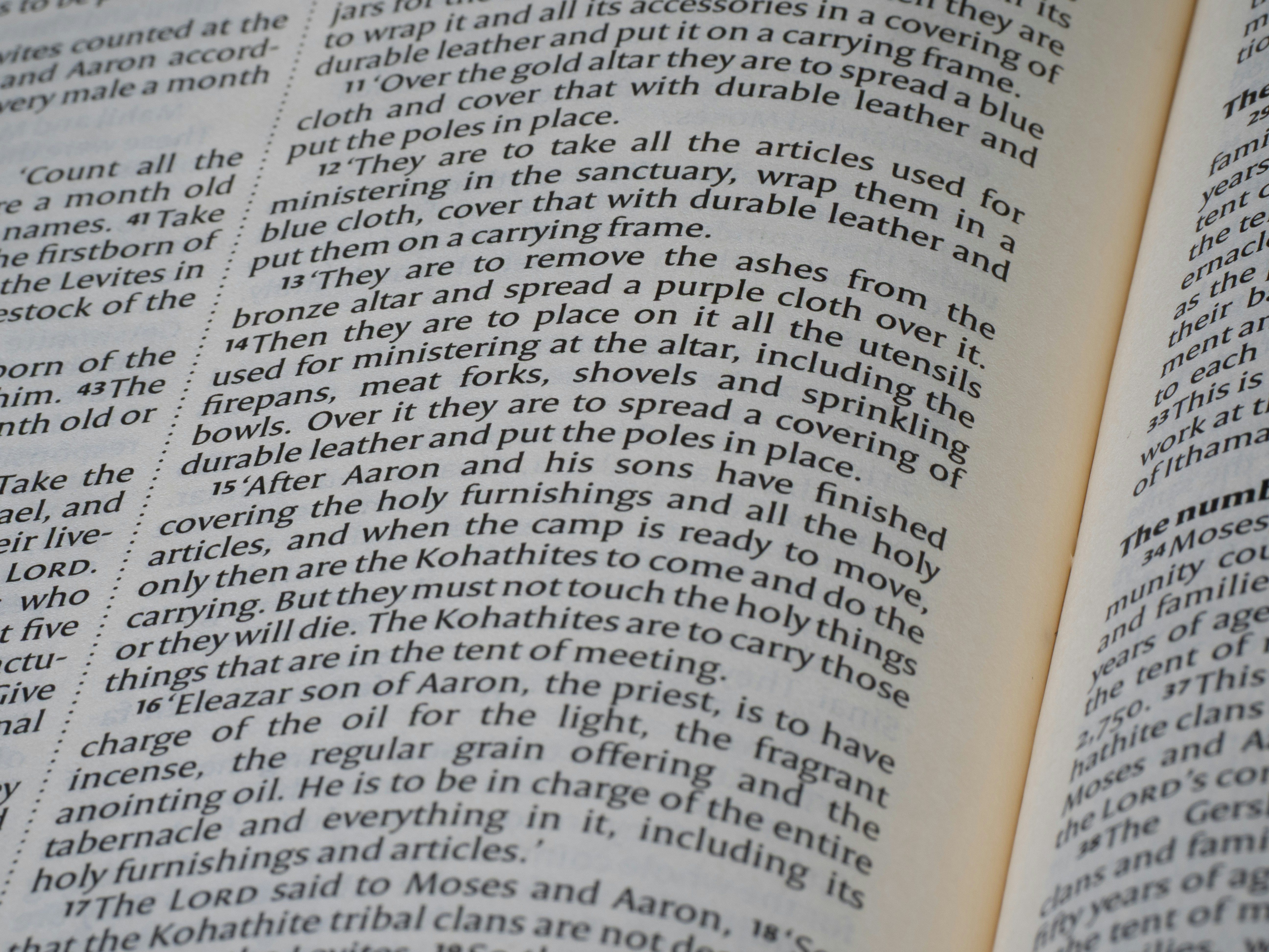 Close-up of an open book: microtext and paragraph flow in a two-page spread