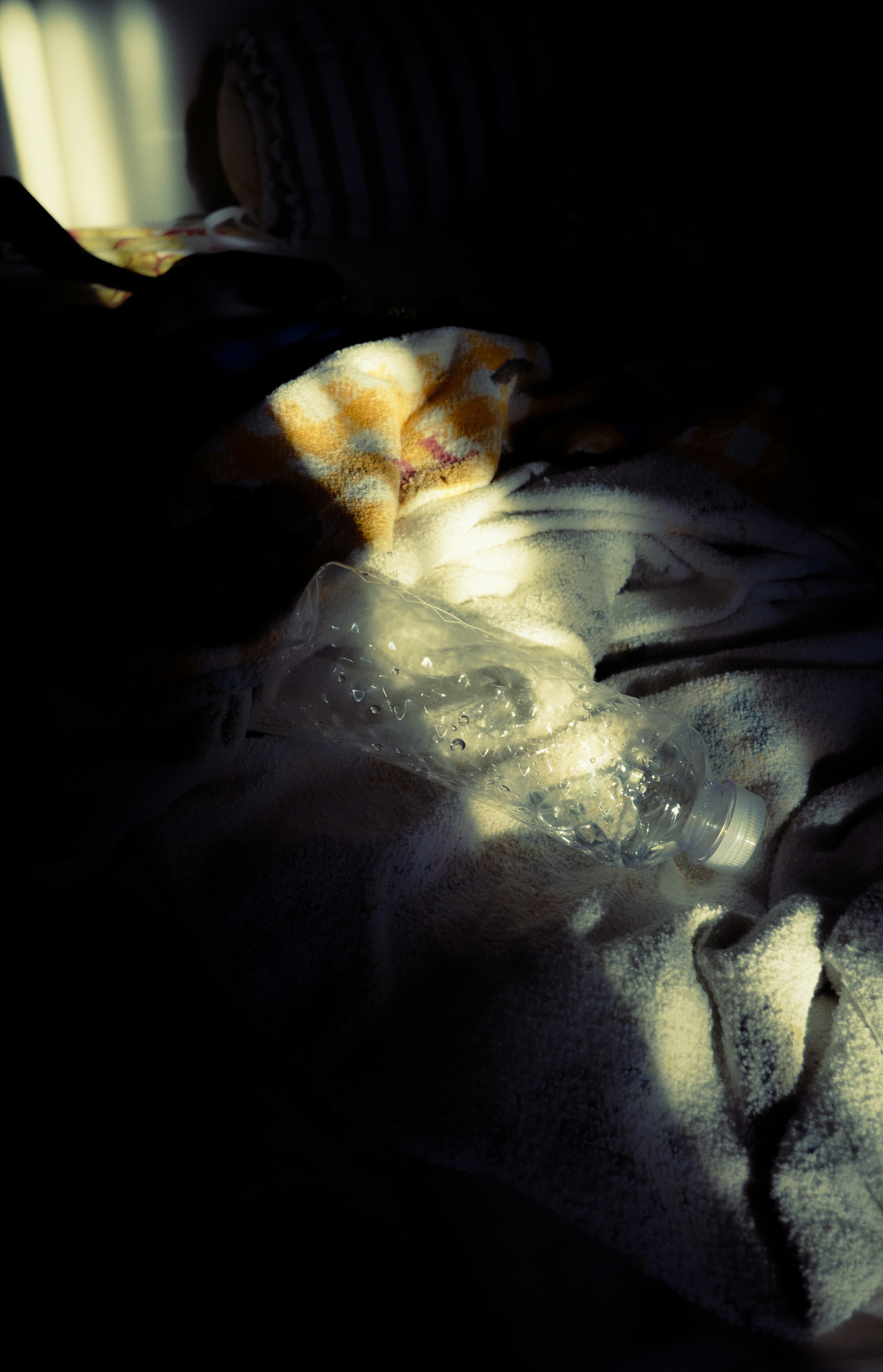 Shadowed Comfort: A Sliver of Light on a Bottled Quiet