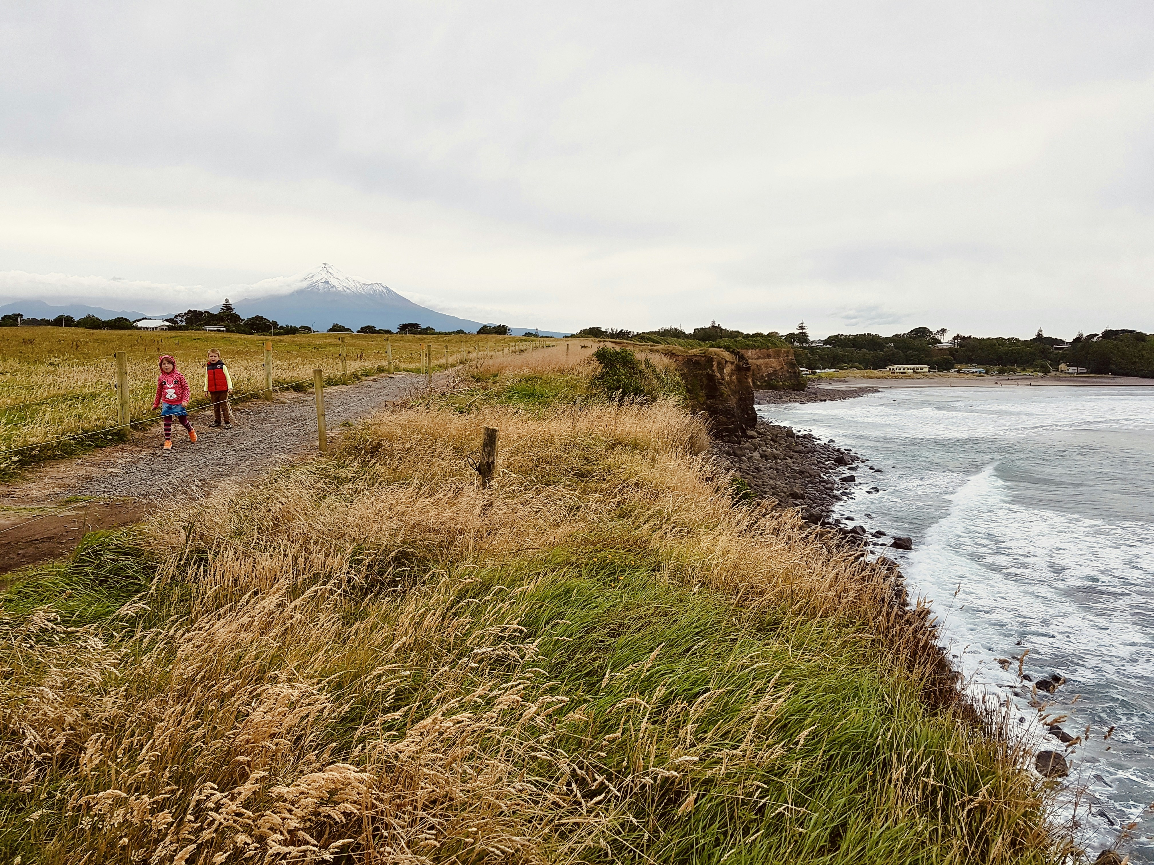 Trailside Trio: A Coastal Path Framed by Golden Scrub and Distant Summit