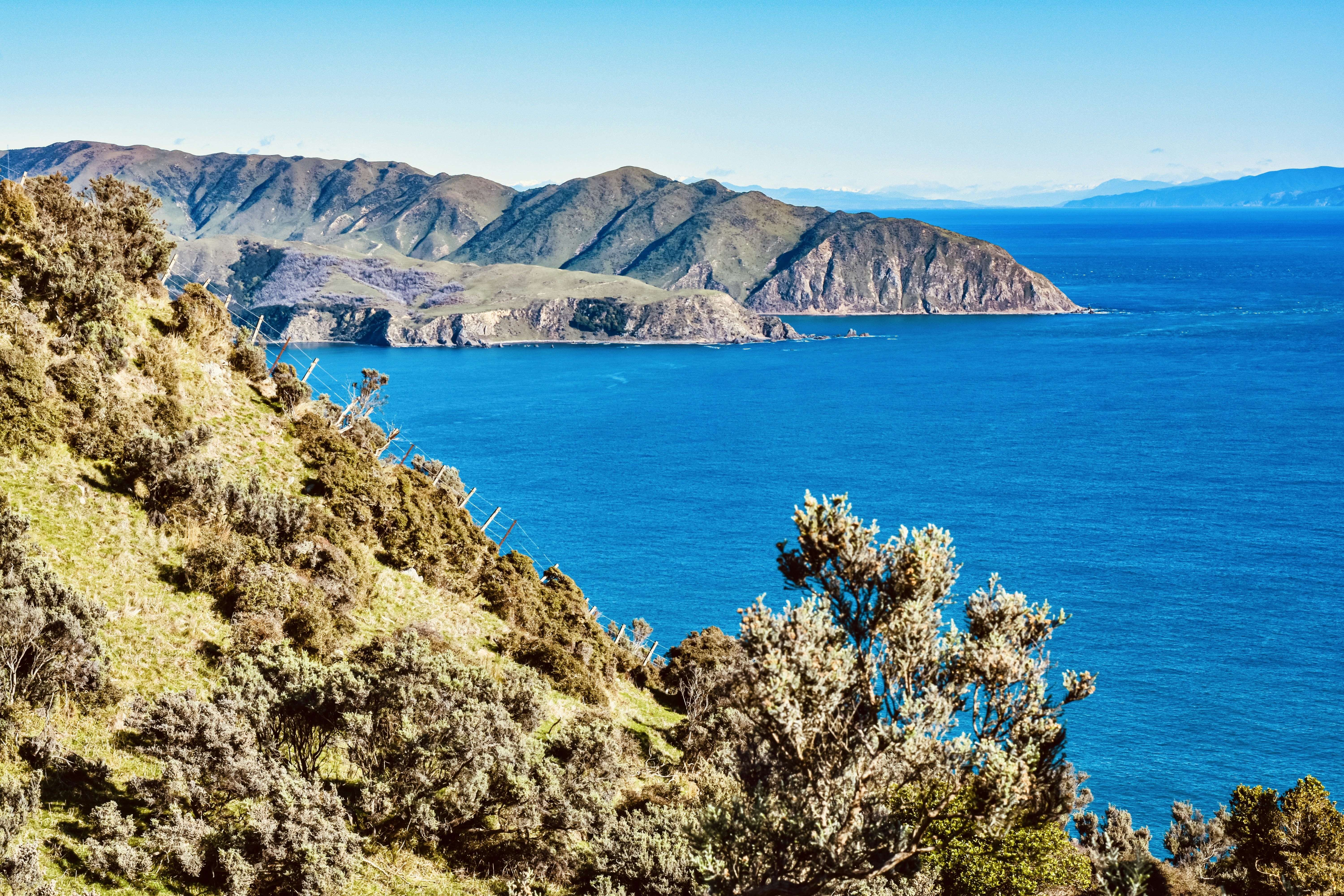Coastal Promontory Framed by Sea and Scrub