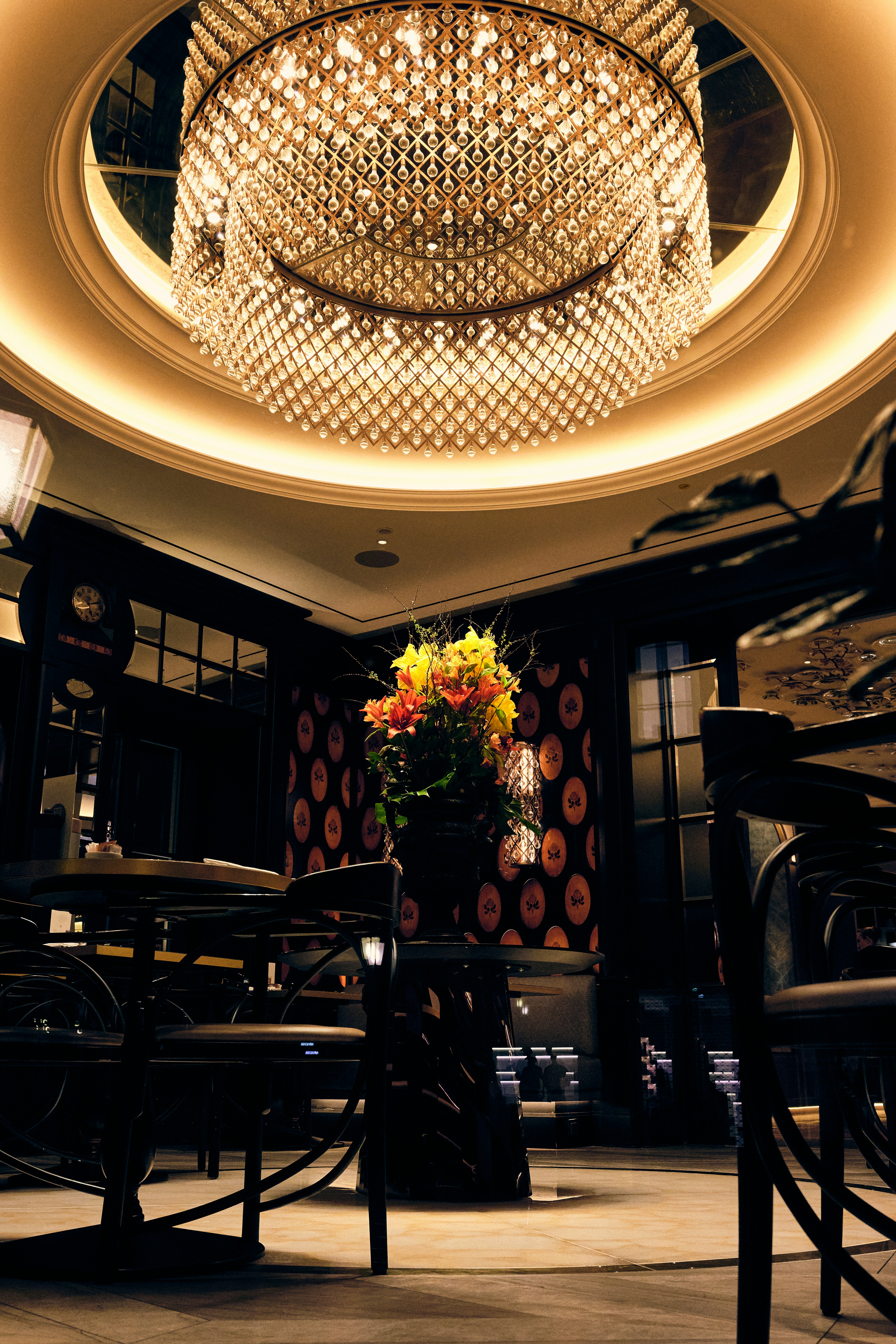 Chandelier Bloom Over Quiet Dining