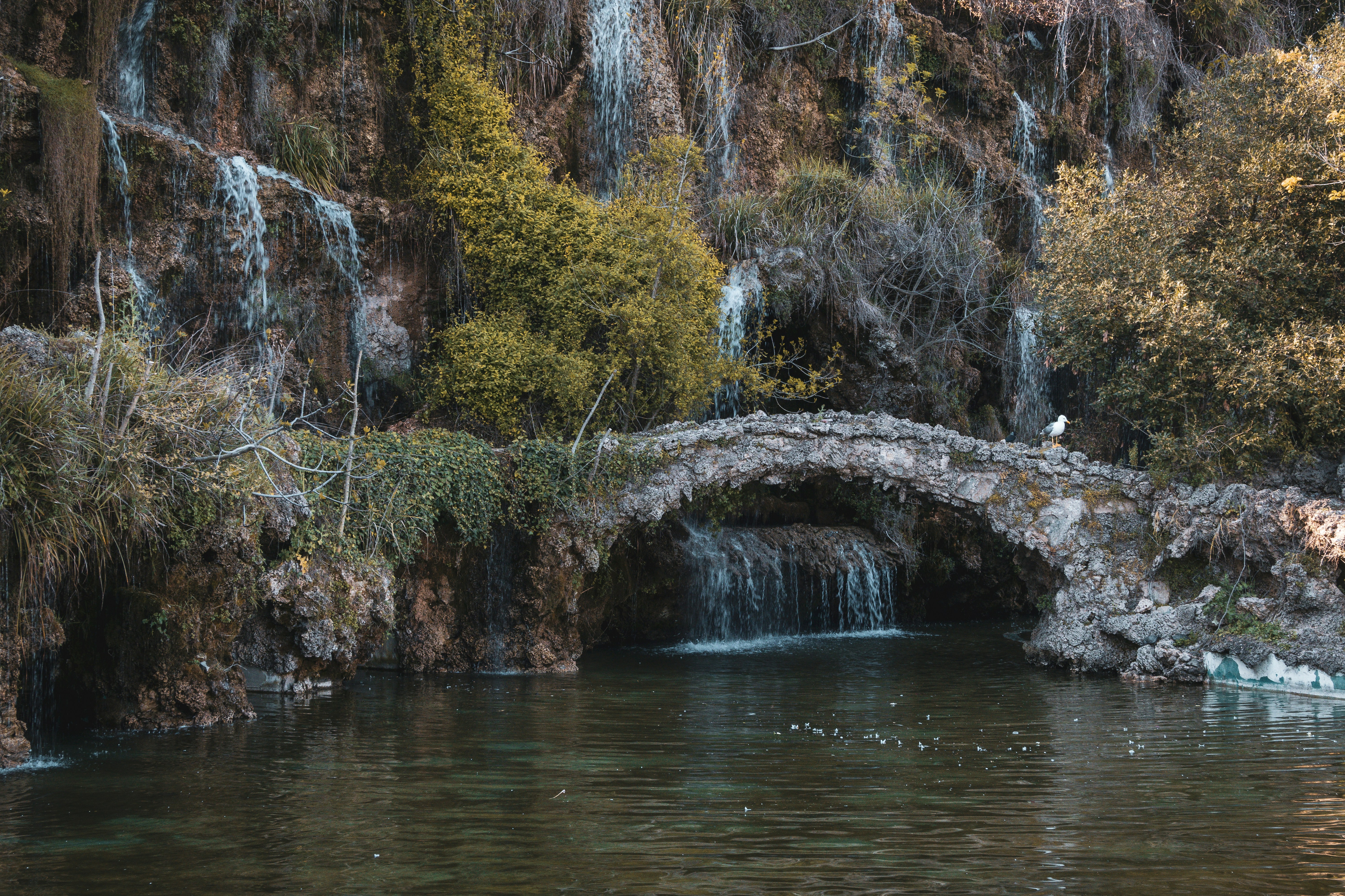 Stone-Crowned Bridge Over Quiet Waters