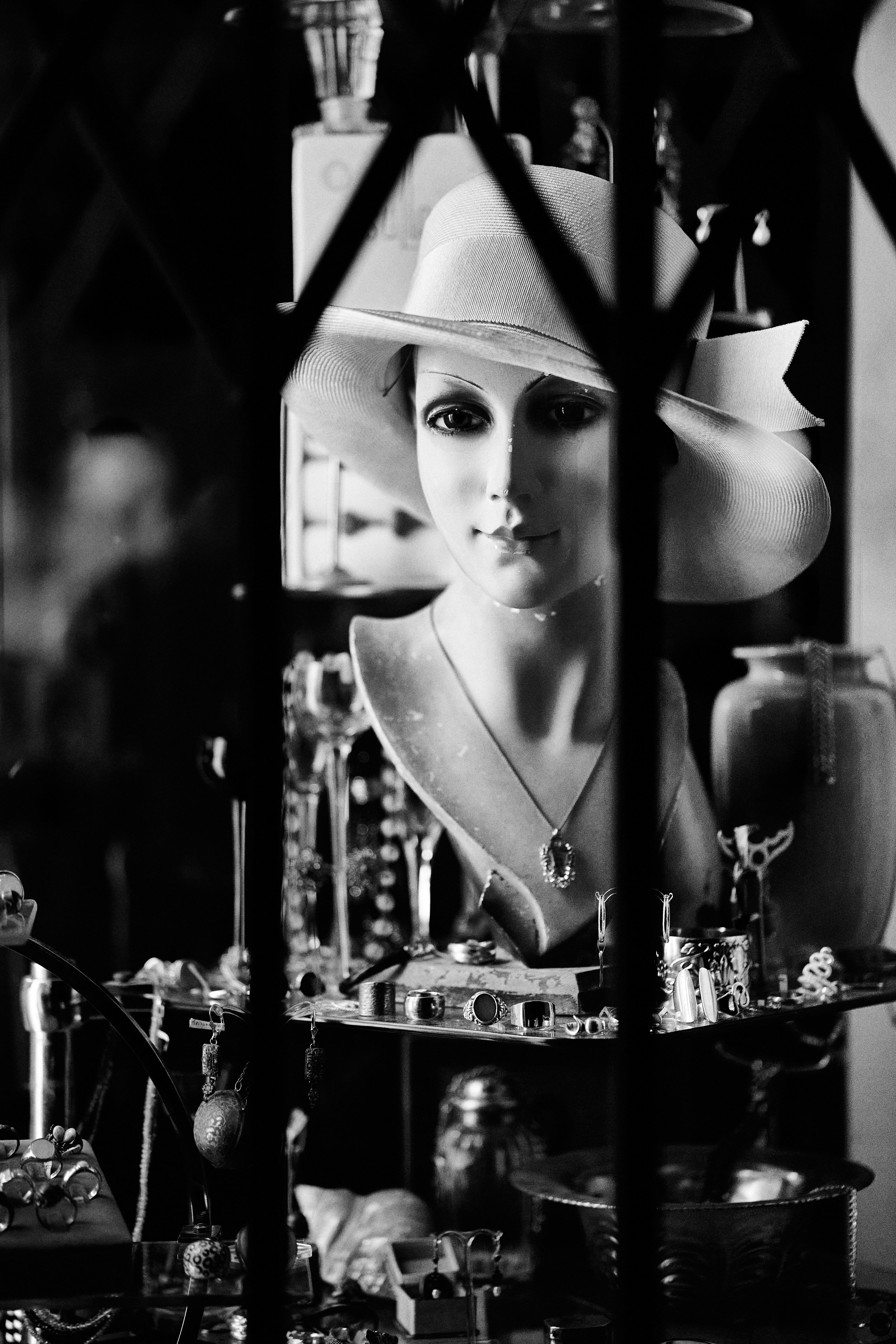 The Masked Curator: Vintage Elegance in Shadowed Glass
