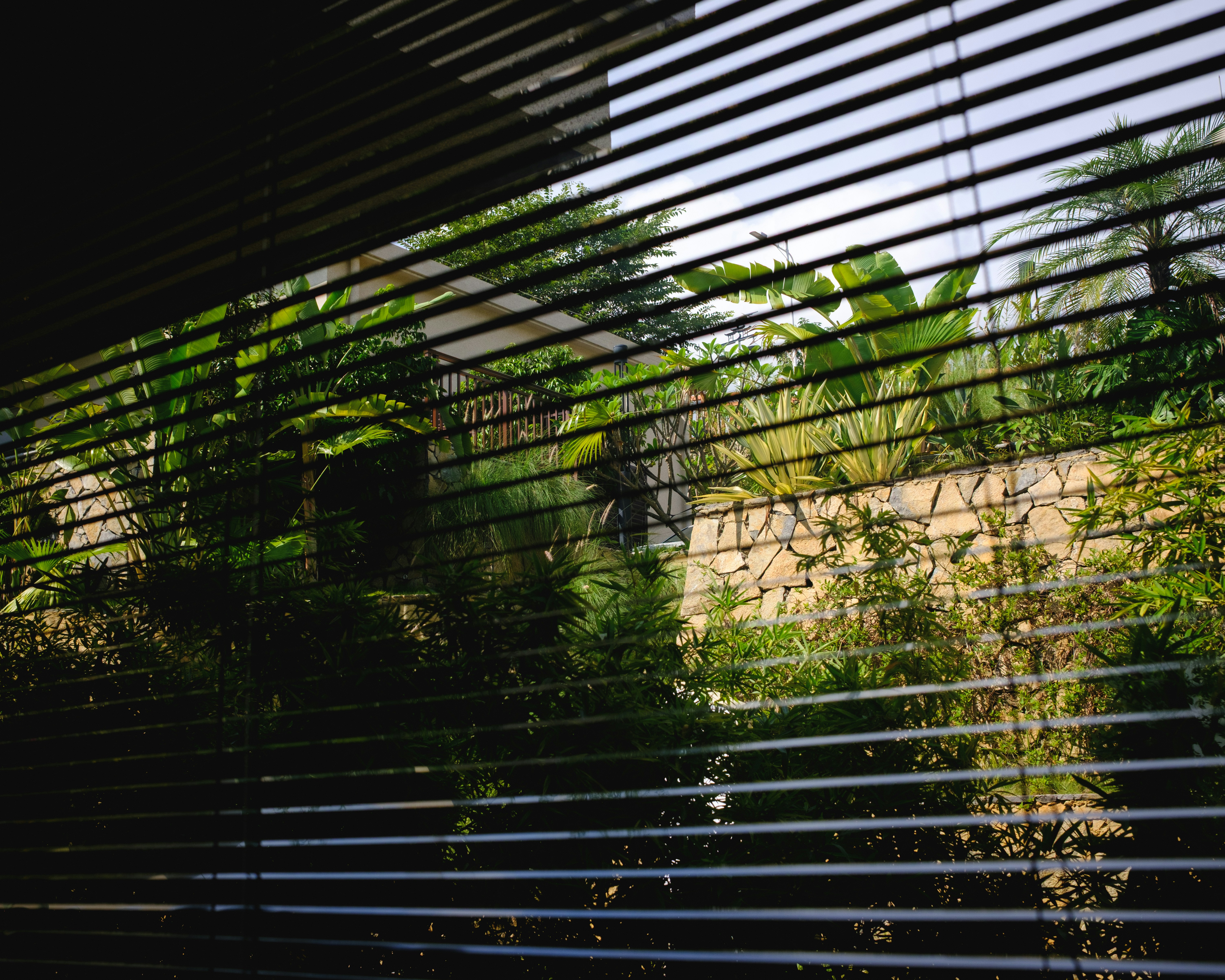Sunlit foliage peeks through slatted blinds