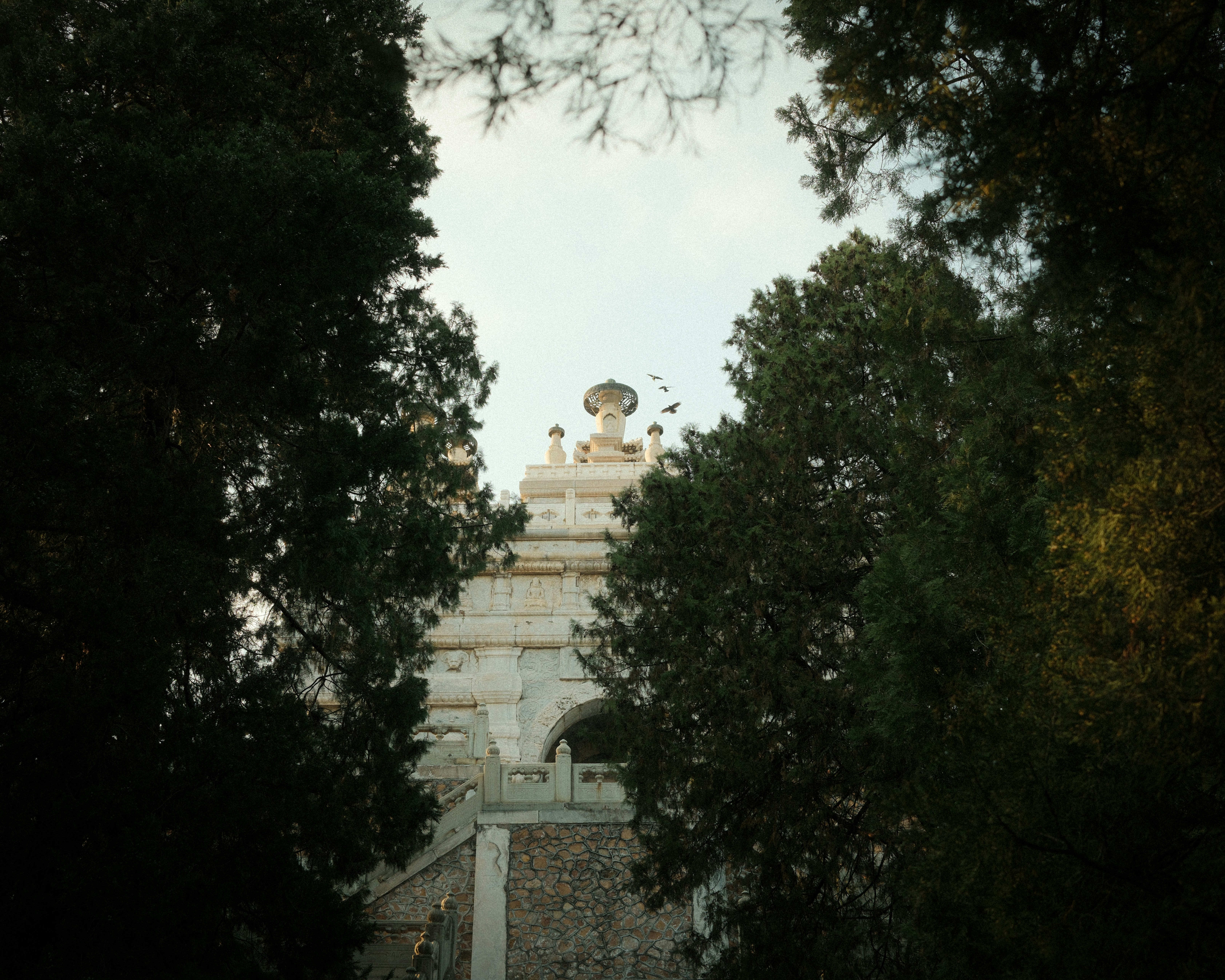 Through the Archway of Trees to the Monument