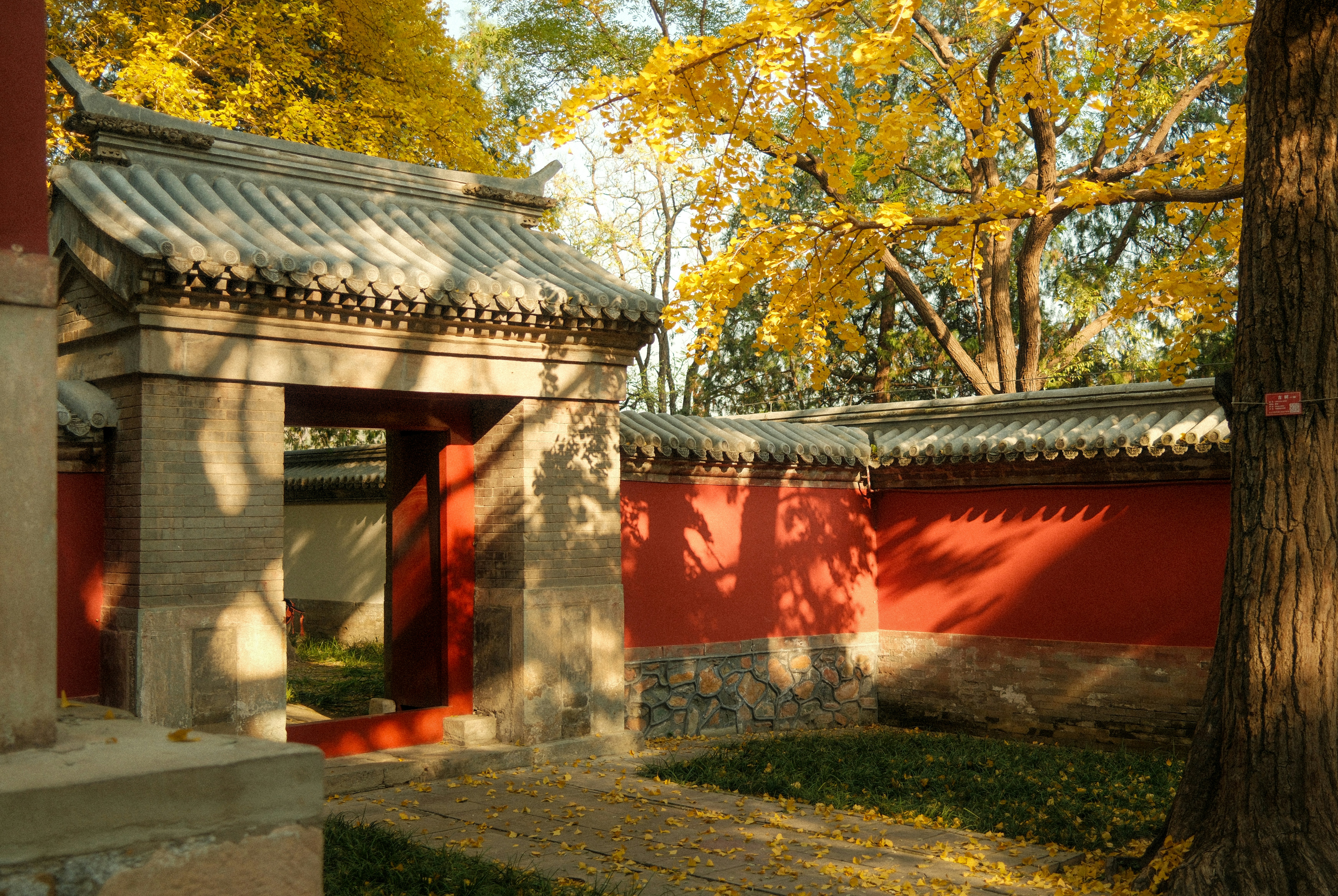 Autumn Light on a Quiet East Asian Courtyard