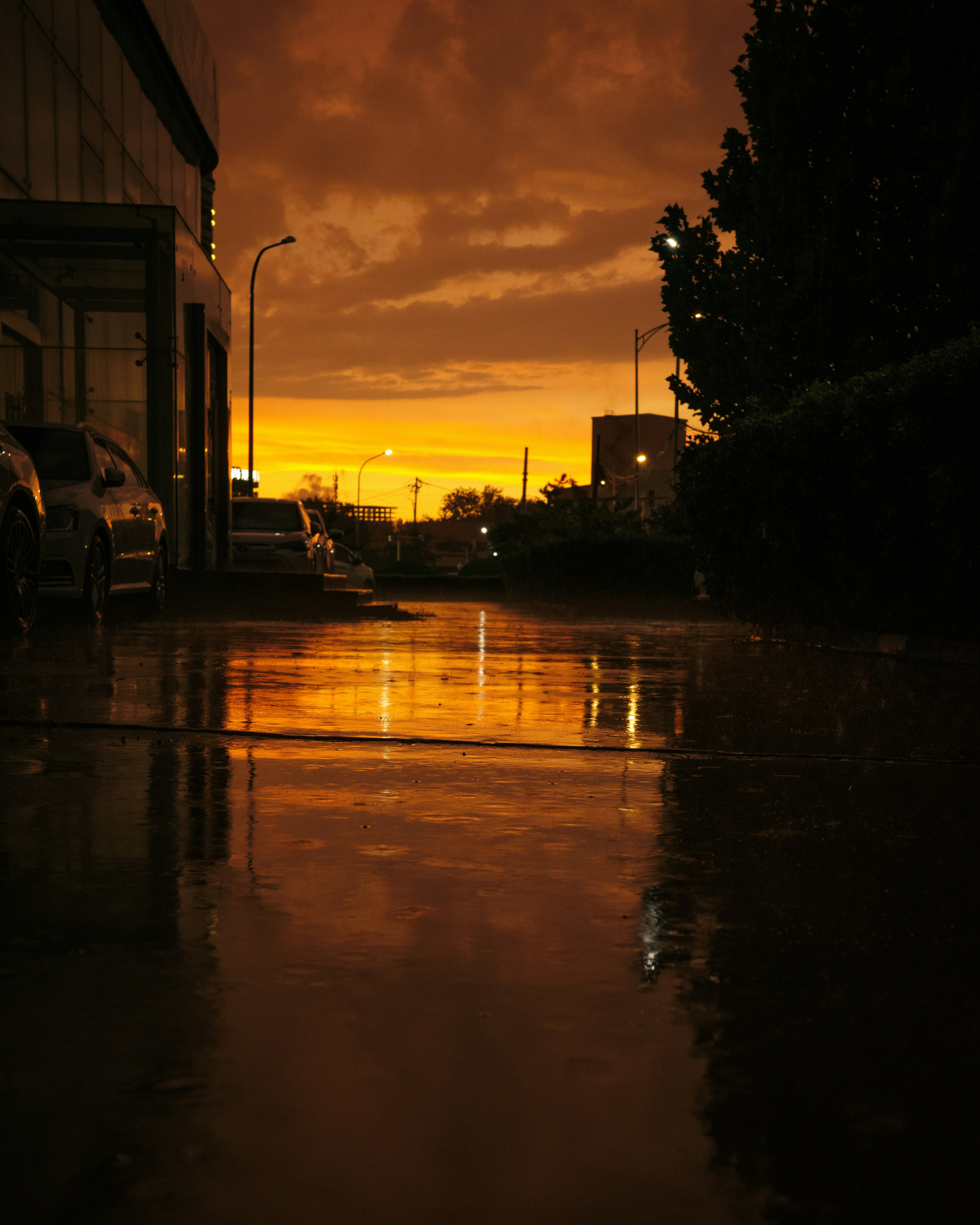 Golden Reflections on a Quiet Street at Dusk