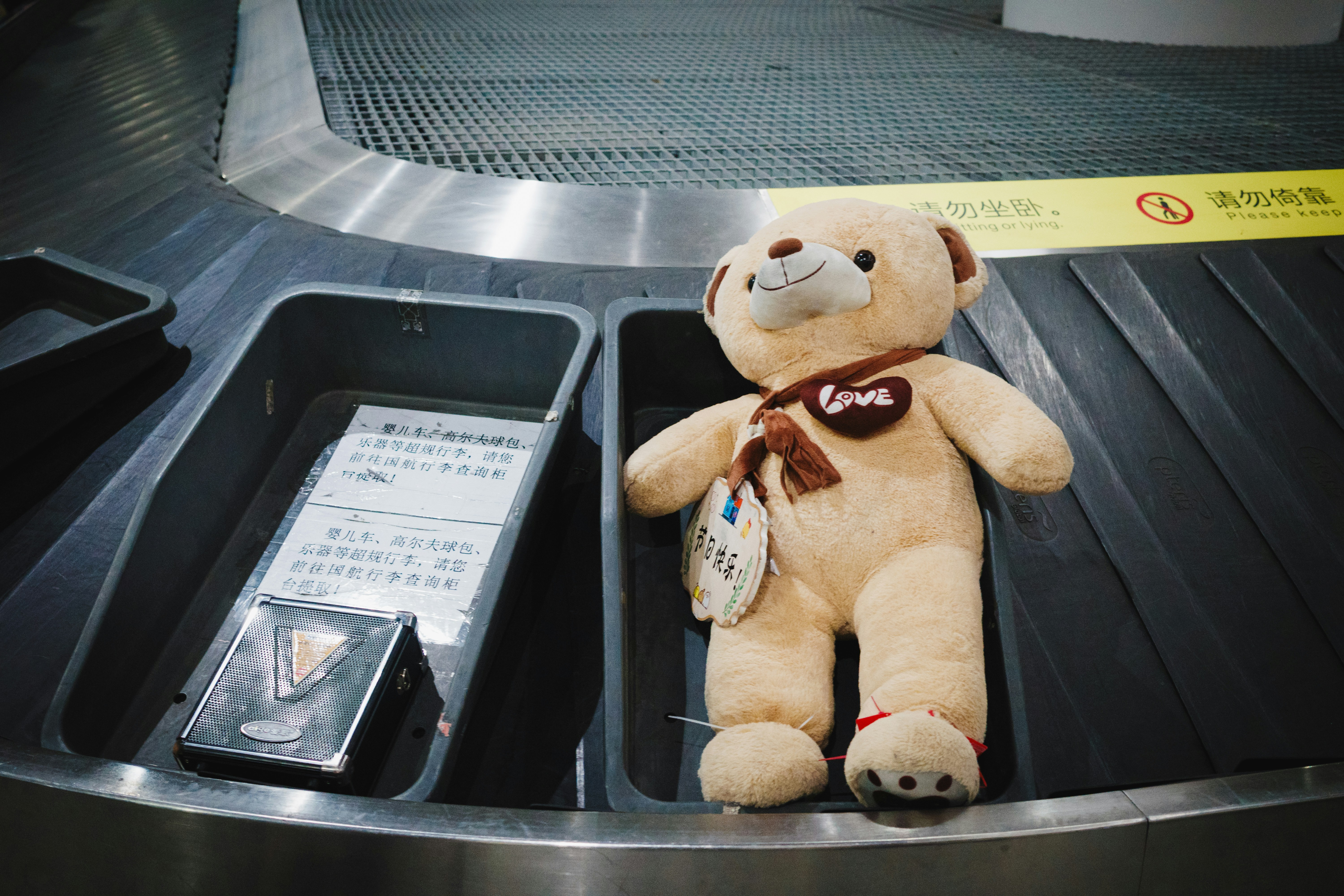 Photo by X F with Ricoh GR IIIx