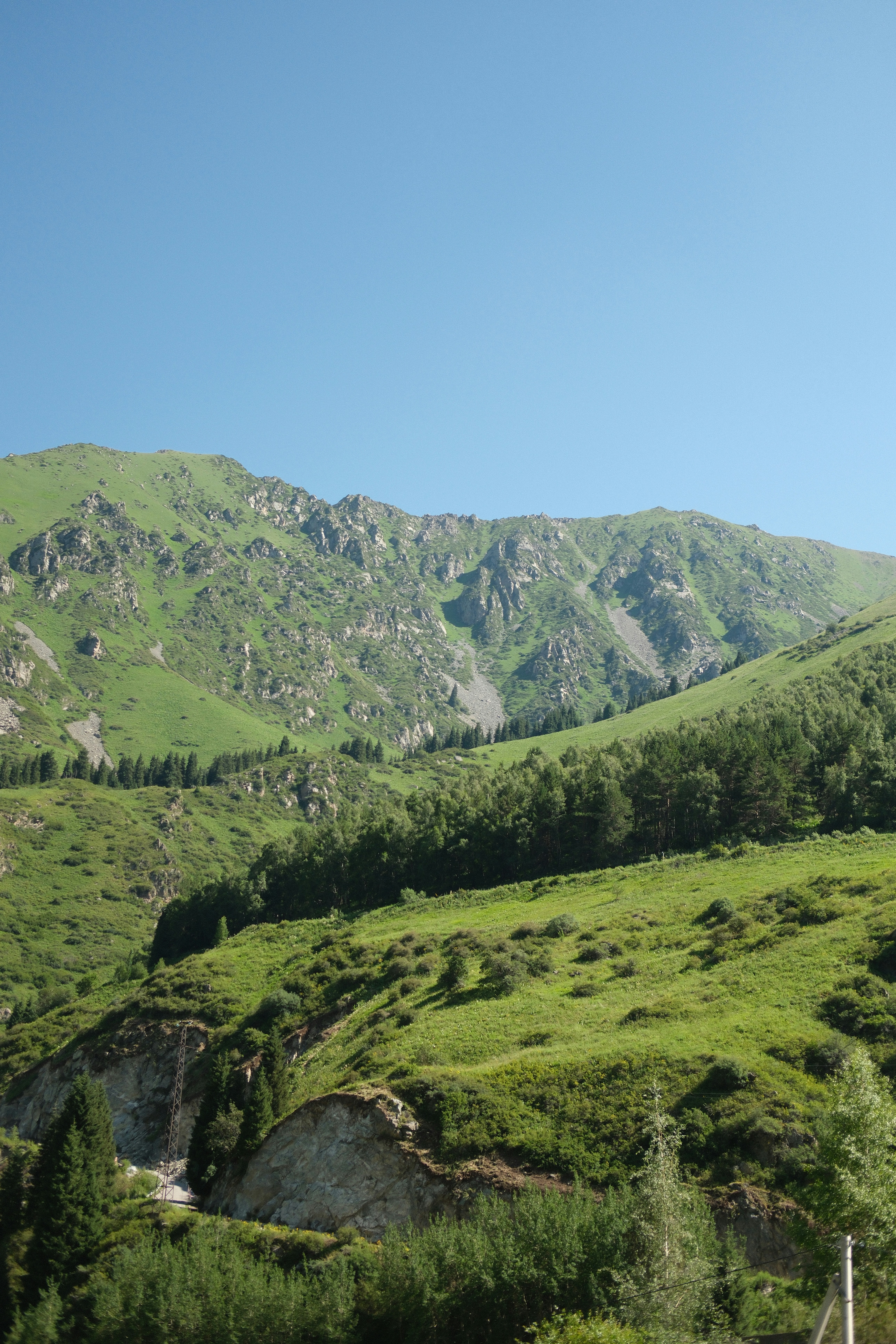Verdant Ridge Under a Clear Alpine Sky