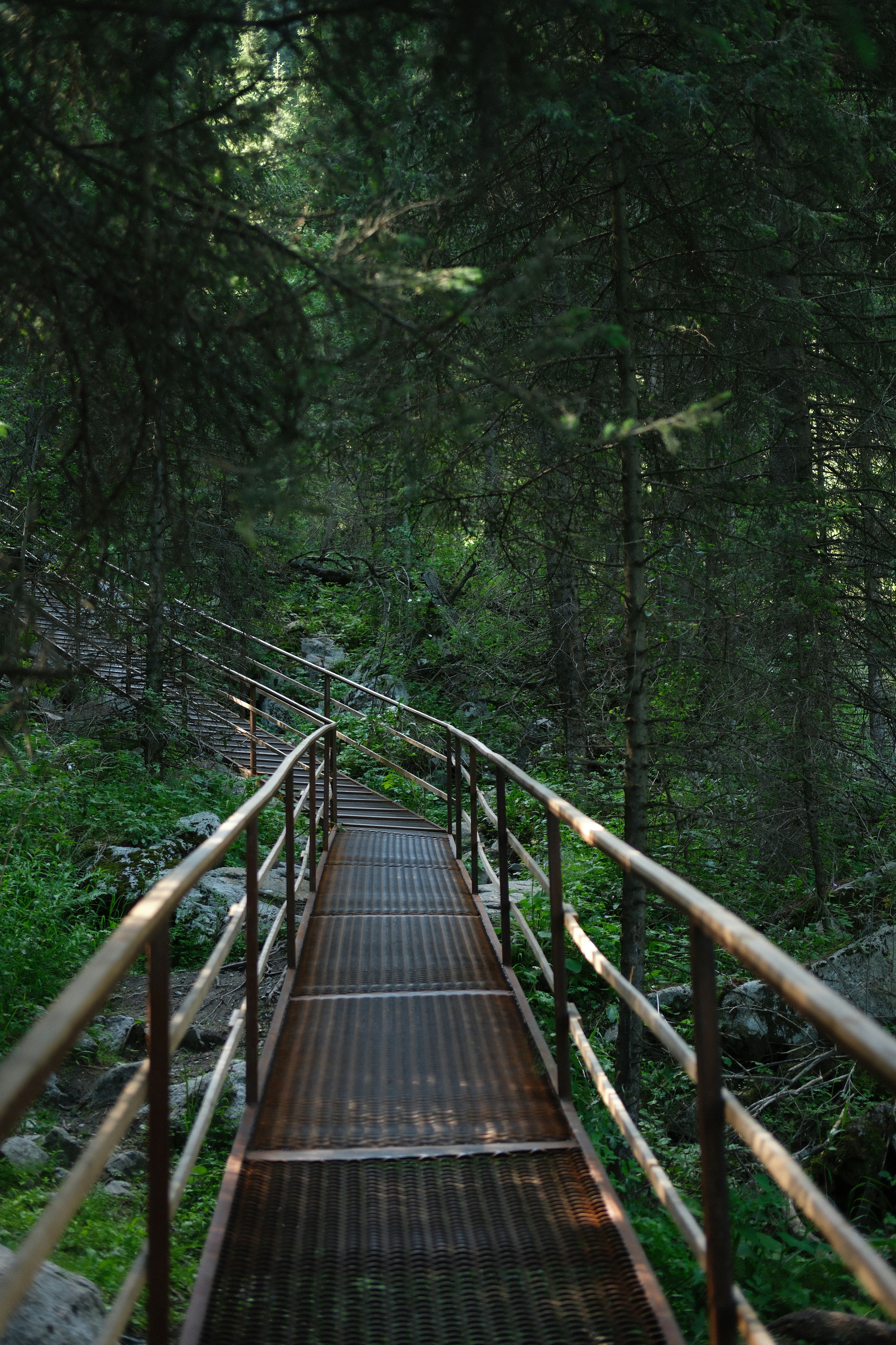 Iron Path Through the Green Corridor
