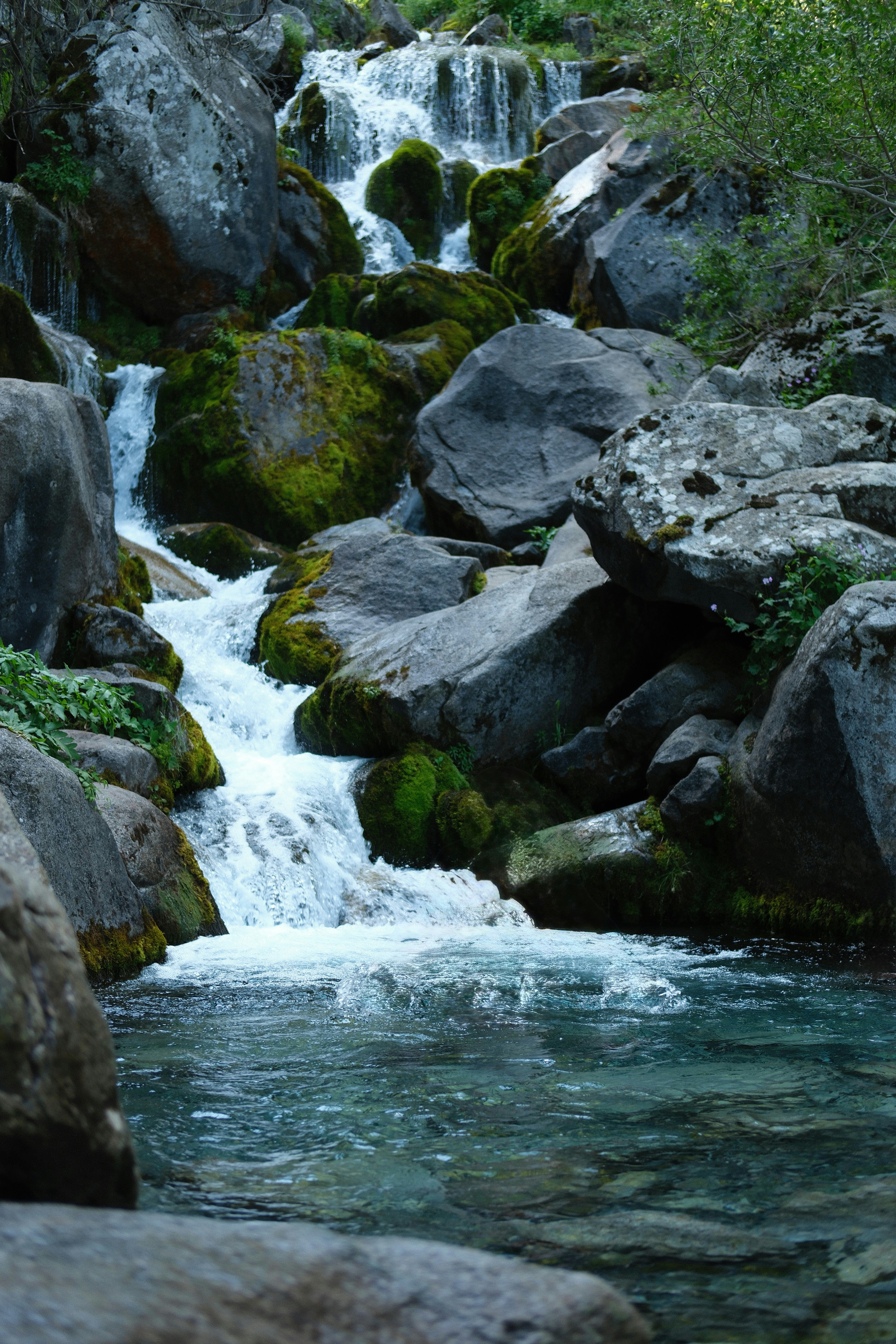 Moss-Cilled Cascade: Russet Stones and Clear Stream