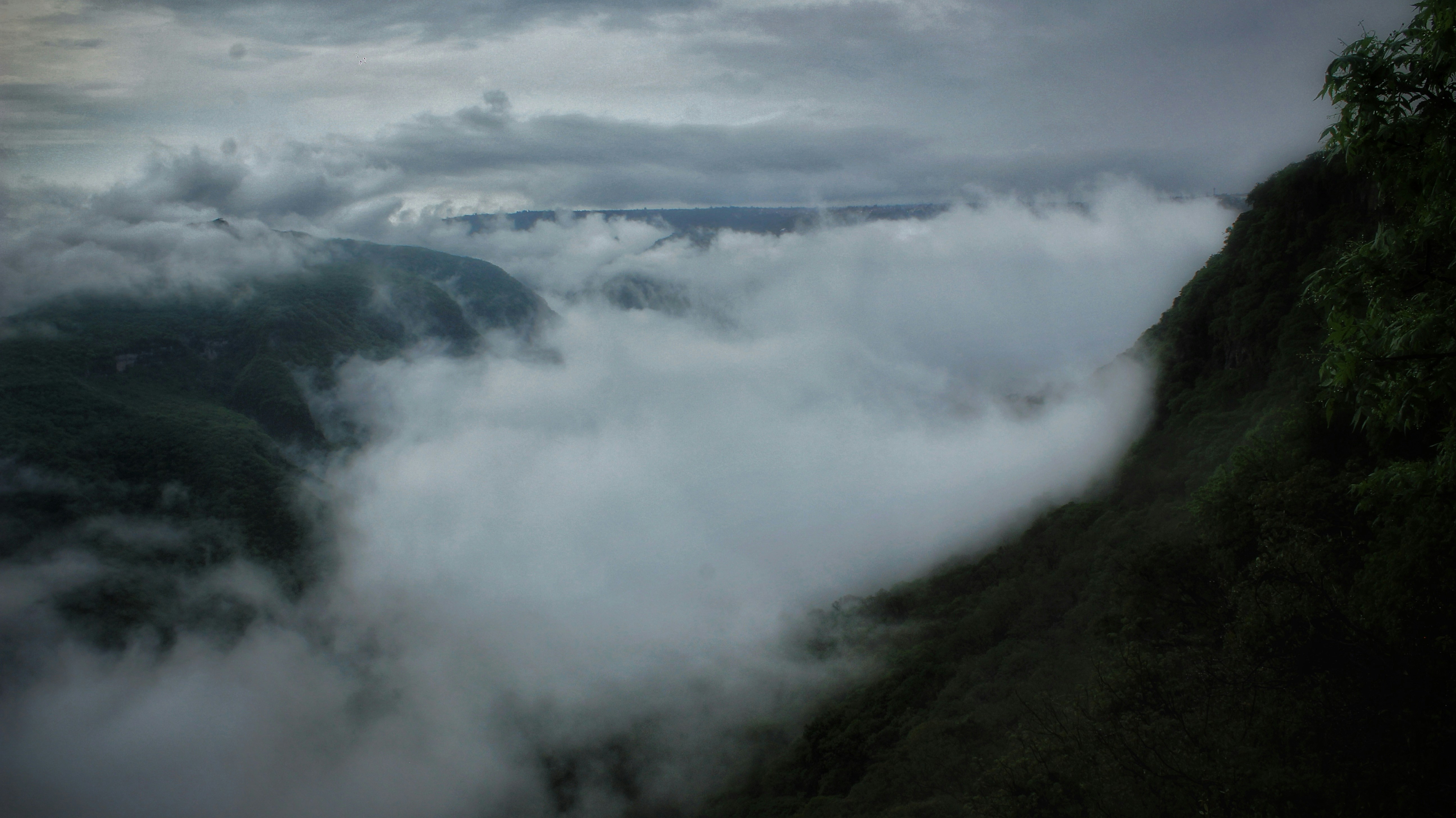 Dense fog drifts through a sunless mountain valley, cloaking the ravines along a steep hillside. A moody, atmospheric landscape that emphasizes depth and distance.