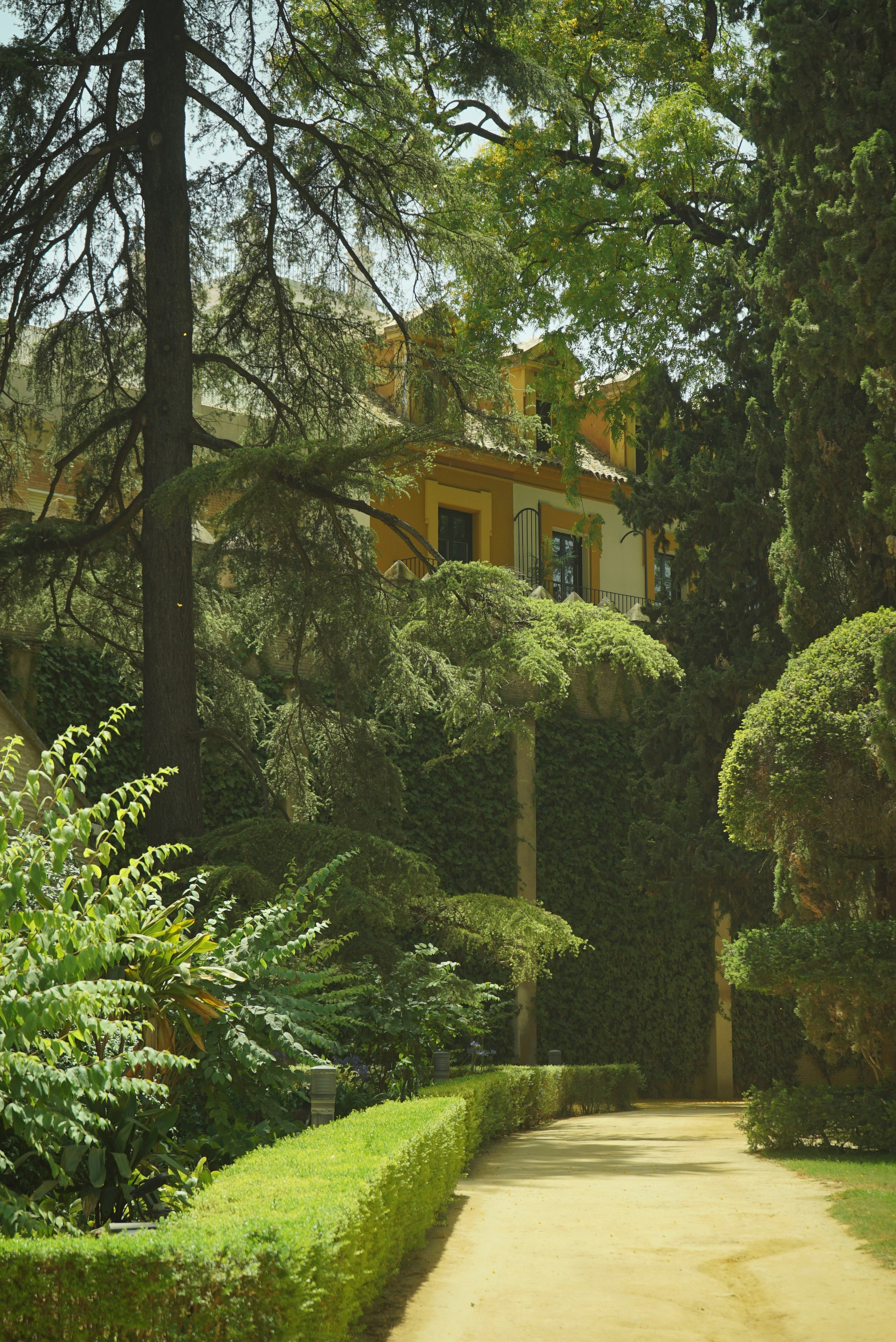 Sunny Yellow Villa Emerges from the Green Embrace