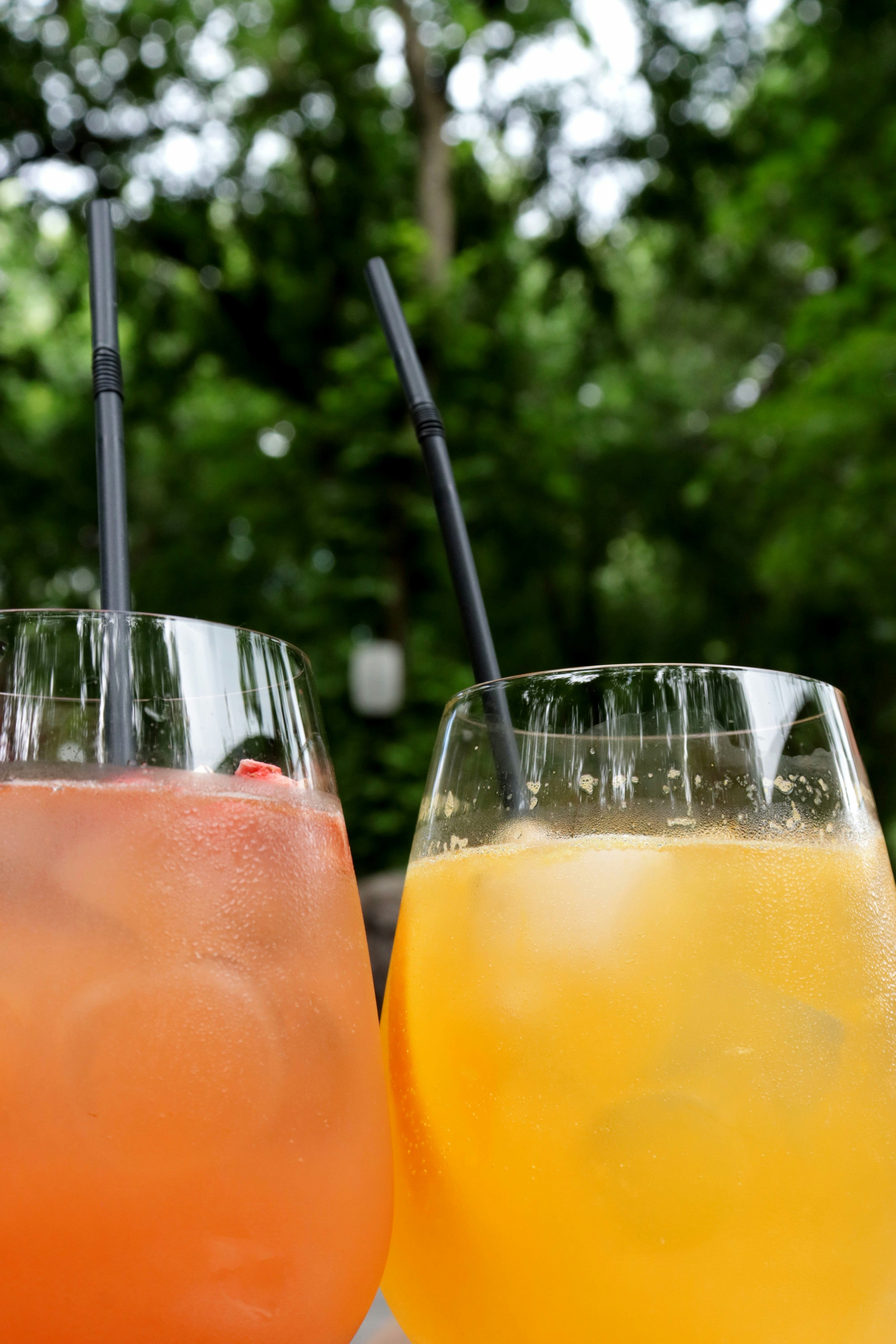 Two Citrus Swirls: A Sunset-Hued Toast in the Garden