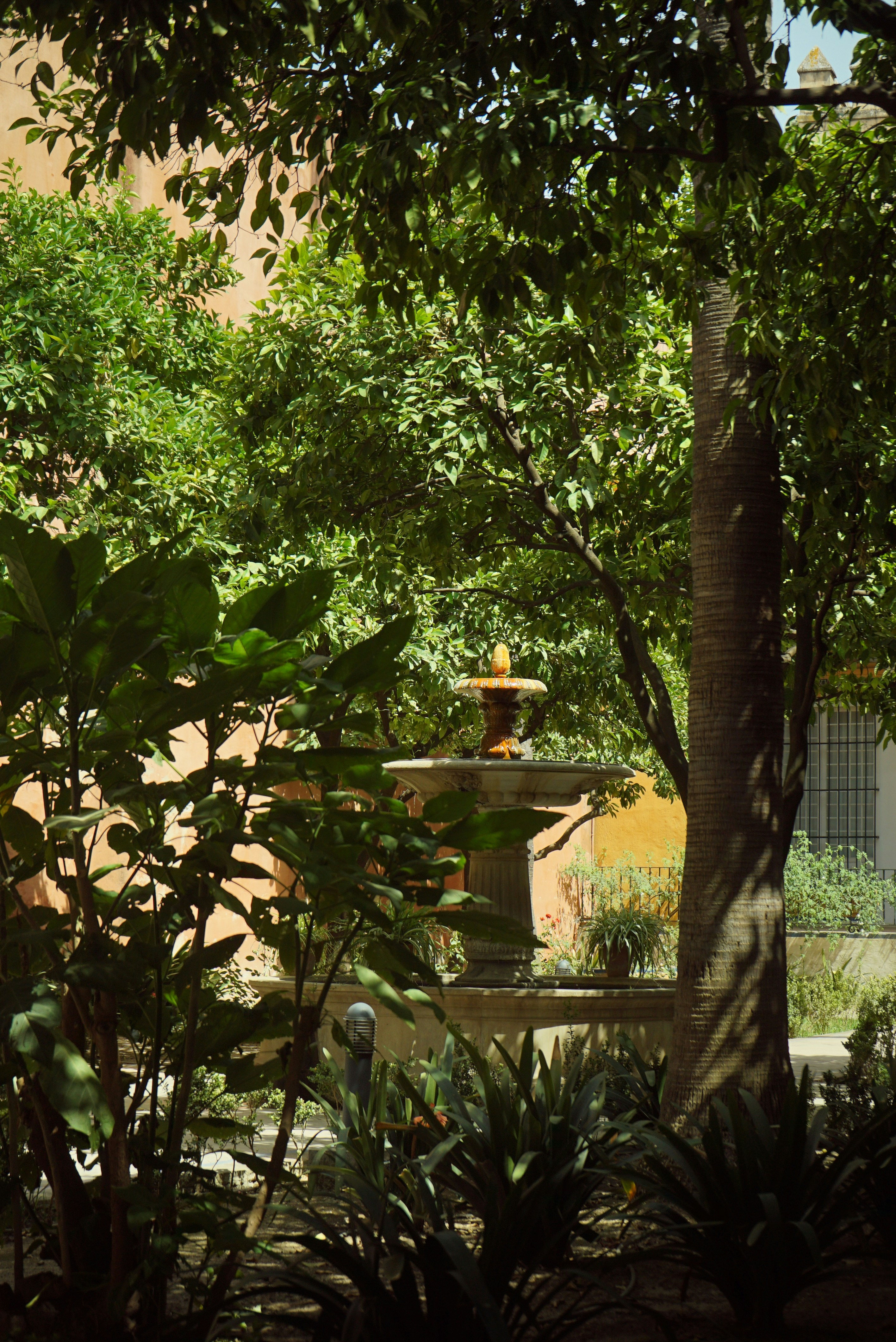 Shaded Courtyard Fountain Quietly Framed by Foliage