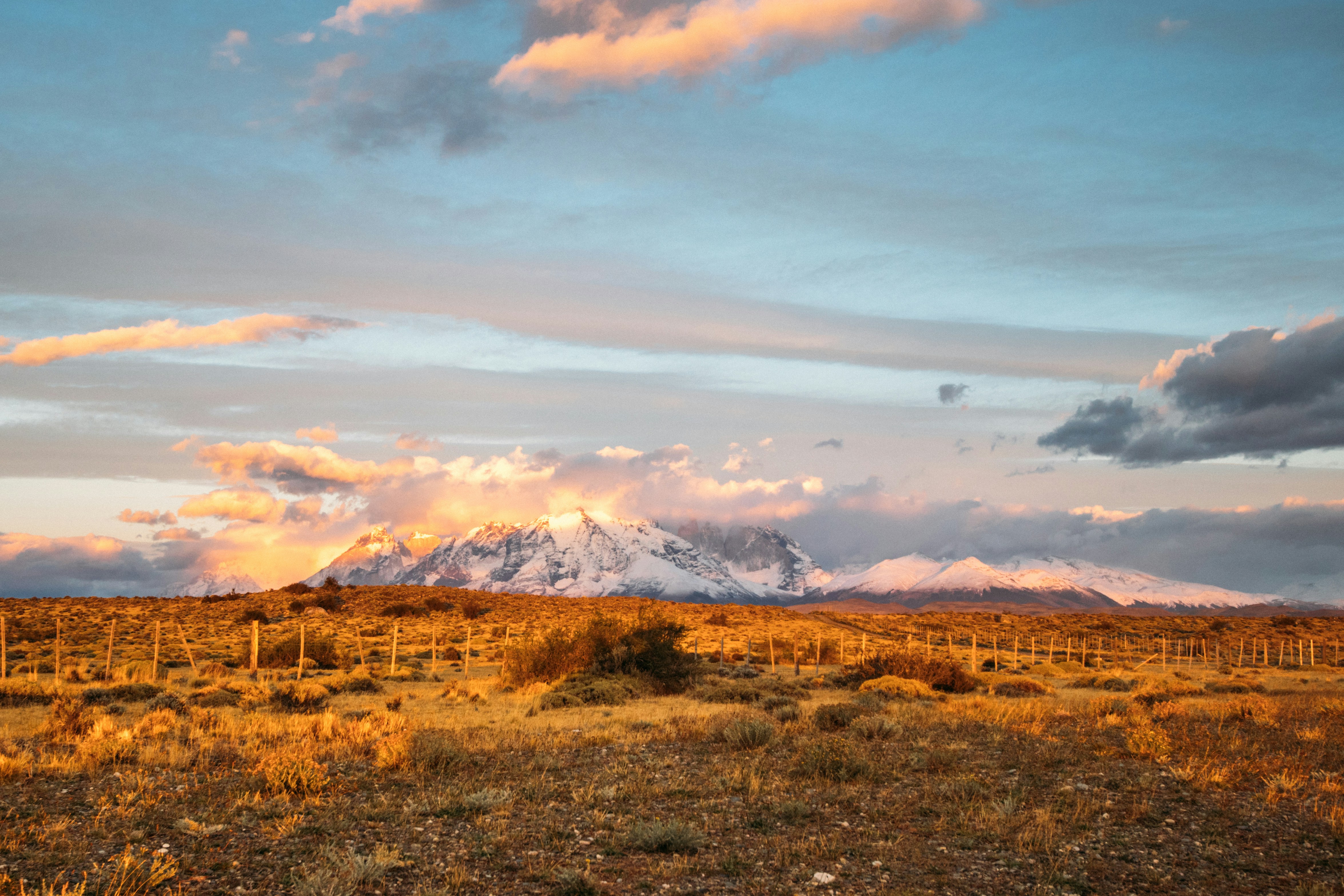 Golden Plateau: Distant Snow Peak Under a Painted Sky
