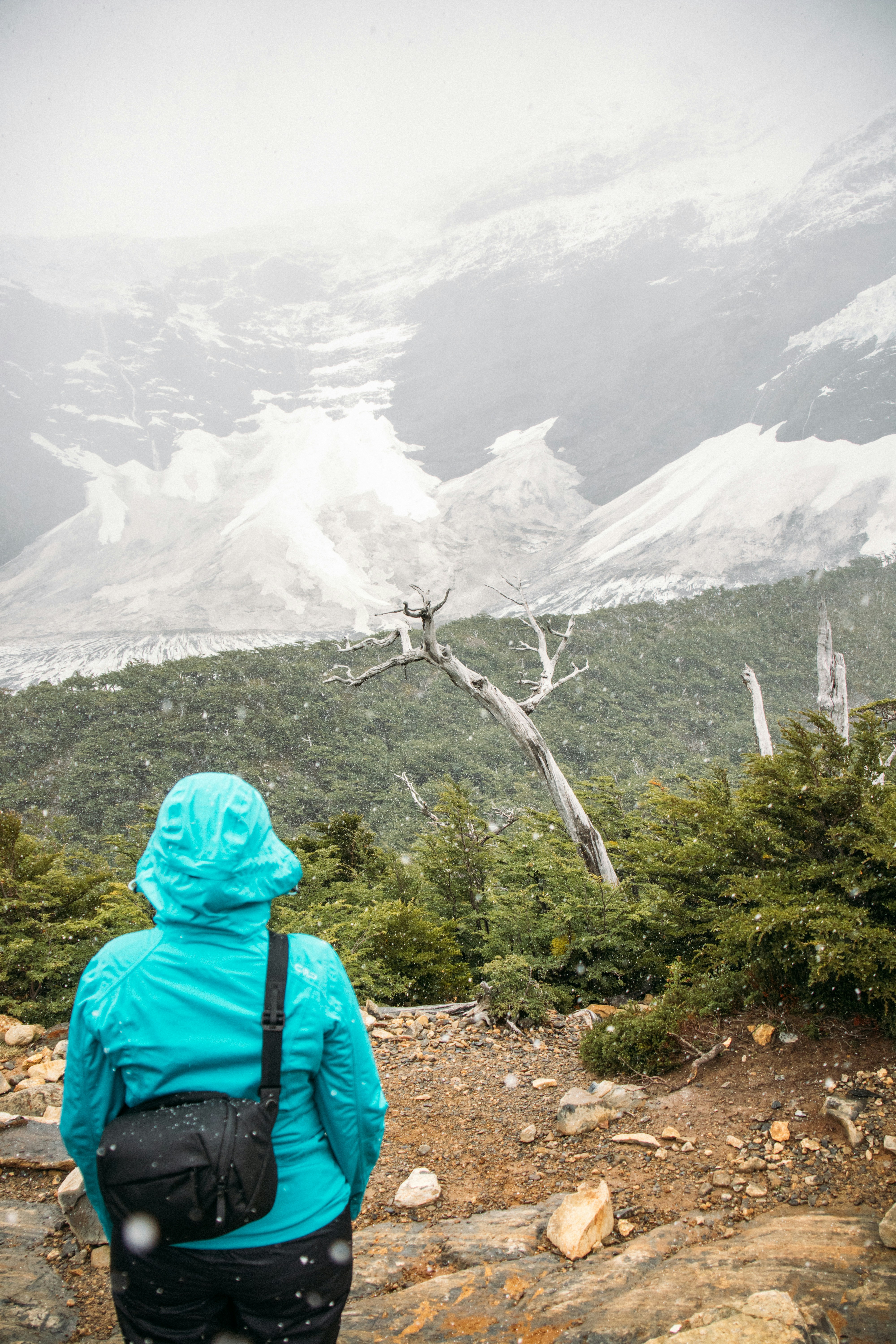 Azure Jacket in a Snow-Laced Frame: A Hiker Gaze at Alpine Silence