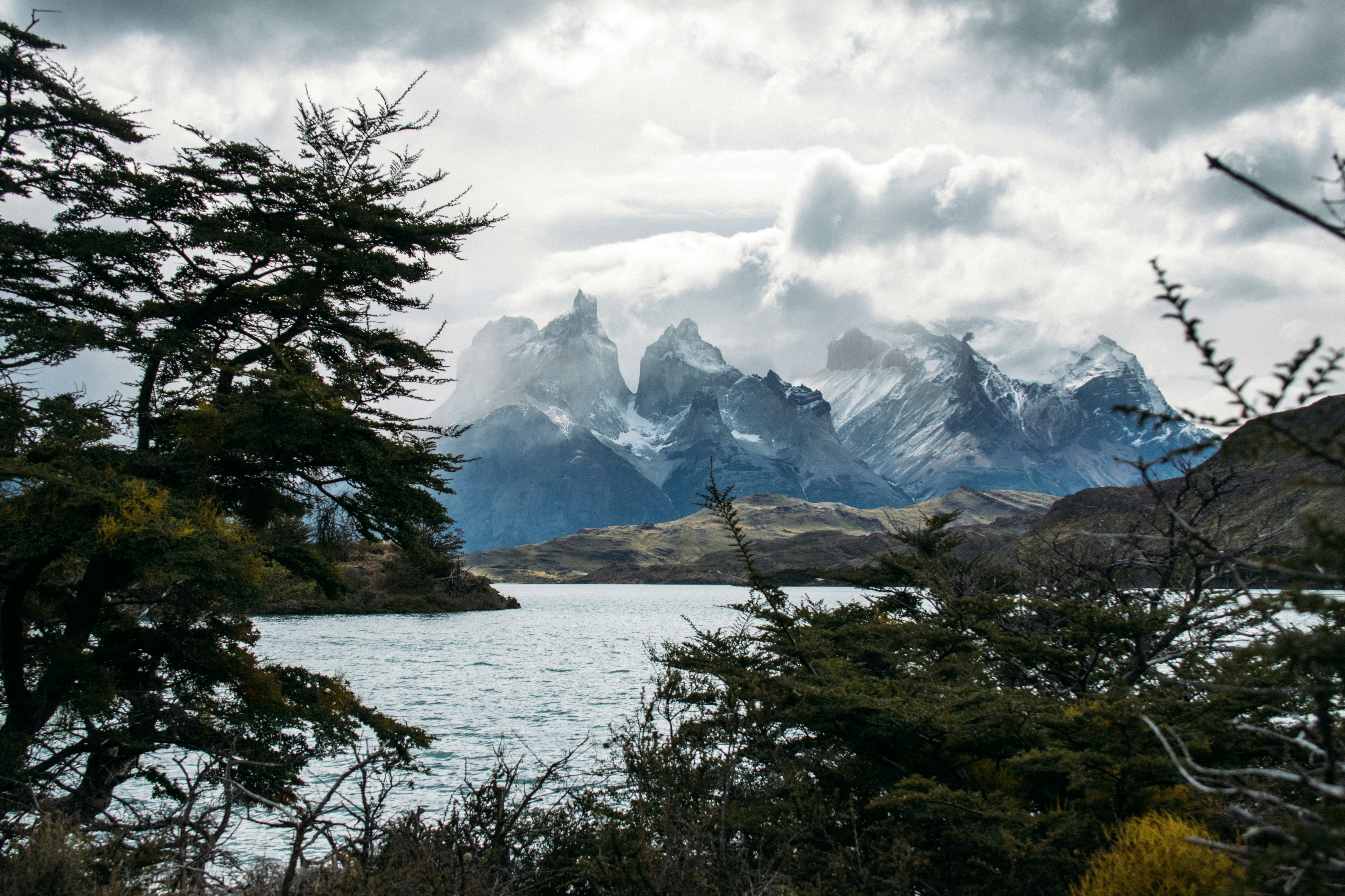 Snow-Capped Peaks Framed by Needlelike Pines Across a Glacial Lake