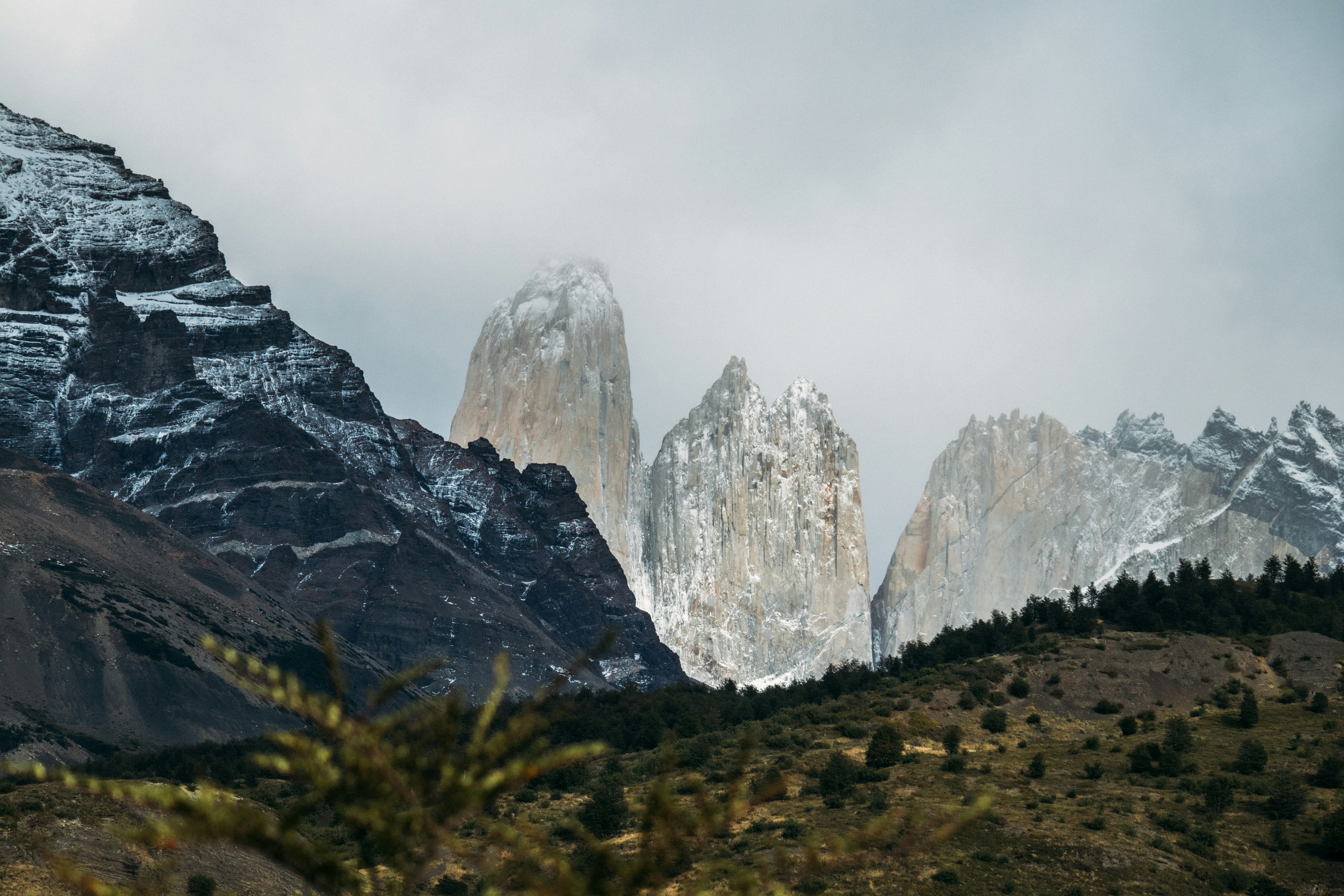 Stone Giants Emerging from the Mist