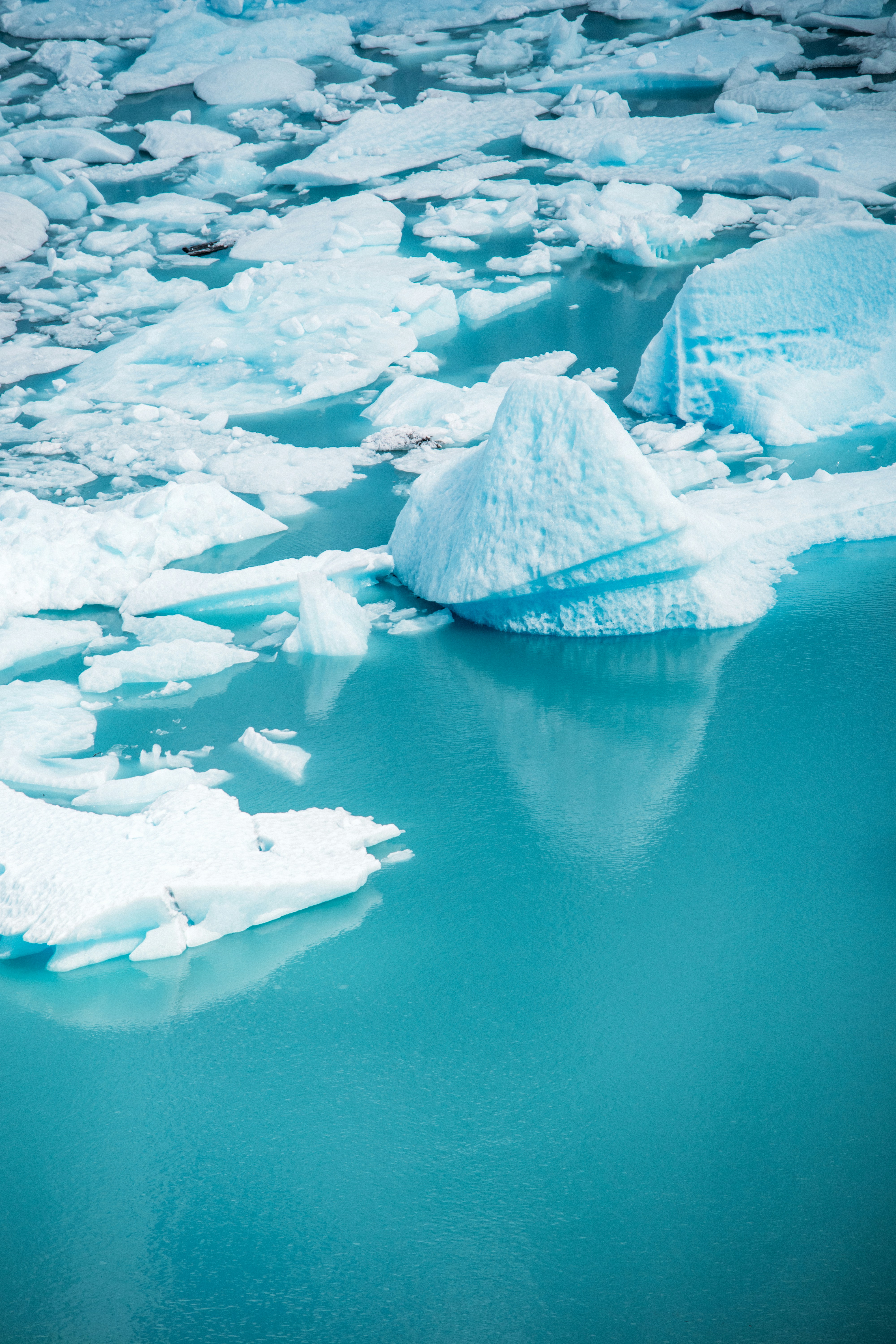Floating Ice Jewel: A Turquoise Arctic Pool Surrounded by Icebergs