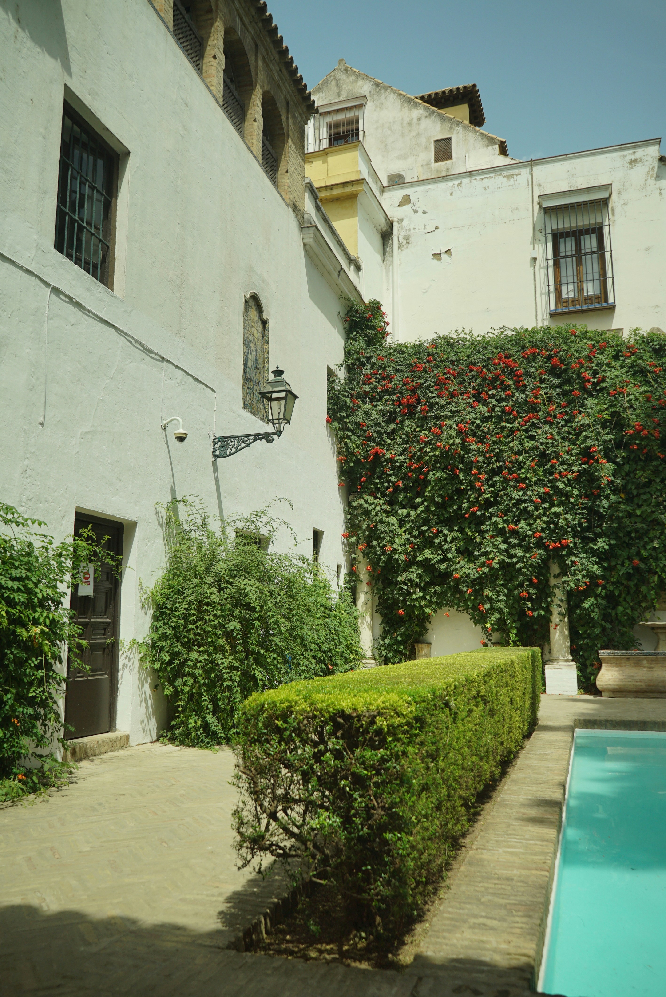 Courtside Lanterns and Bougainvillea at Dusk