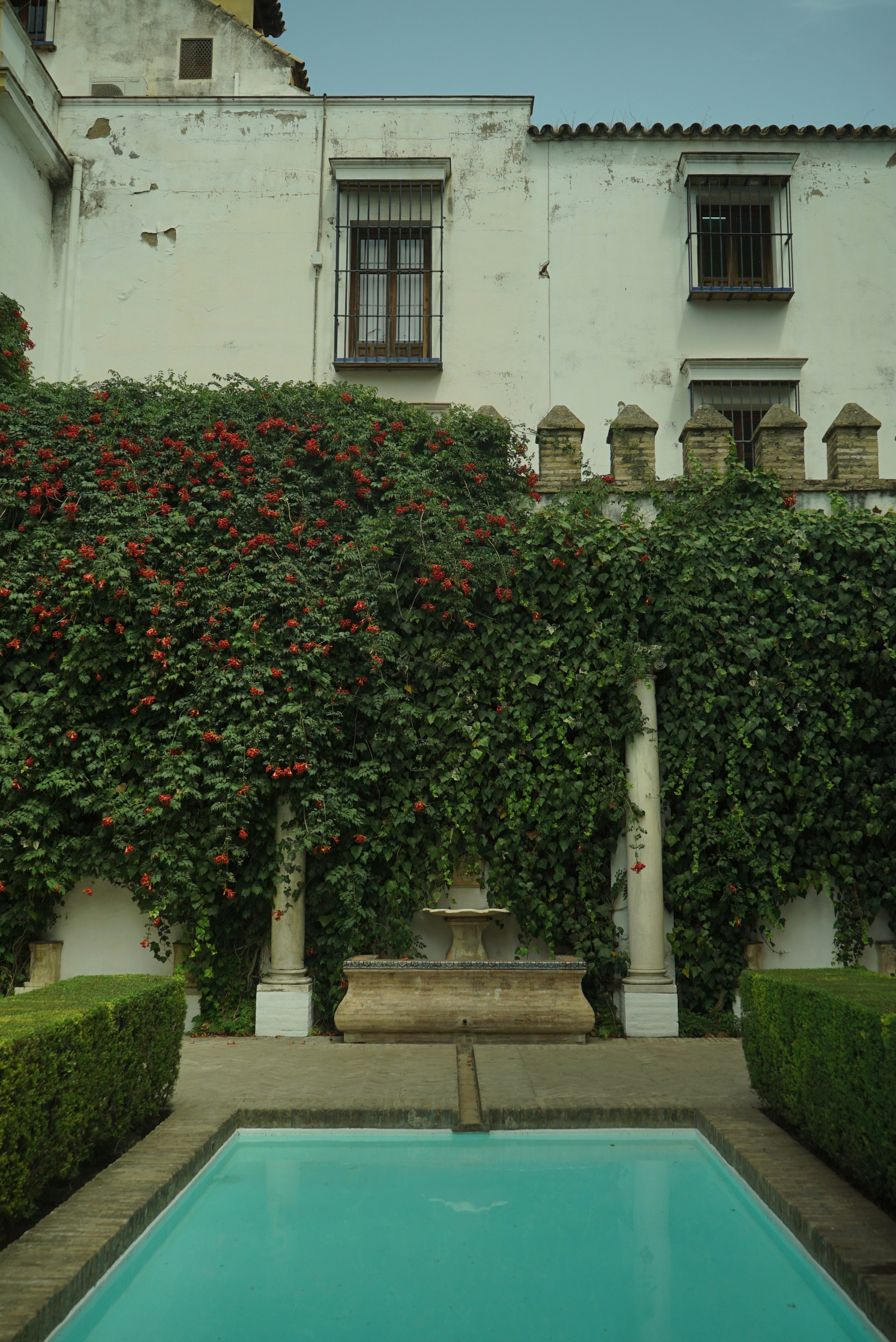Emerald Gate: Ivy-Tangled Wall Framing a Quiet Courtyard