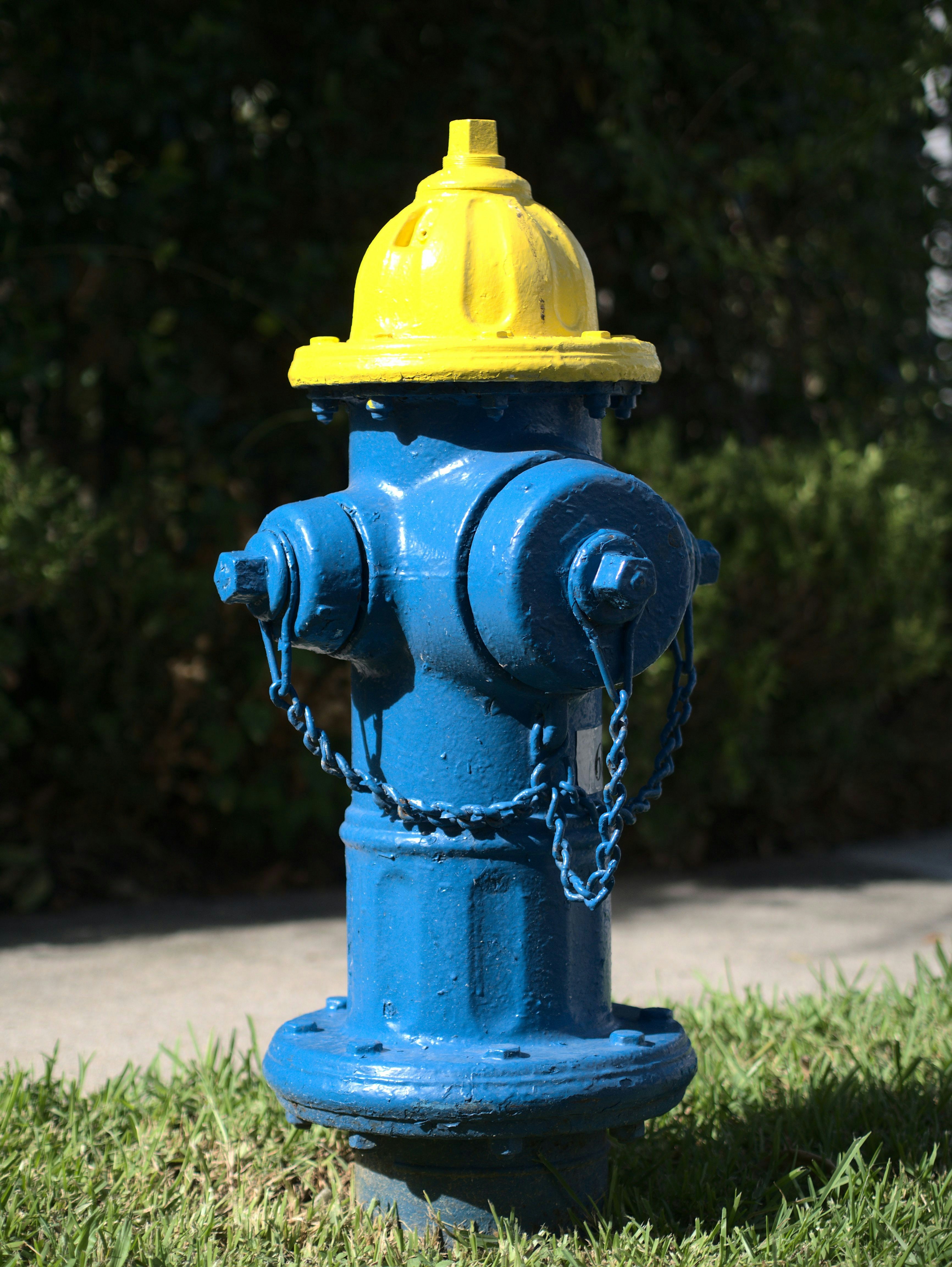 Blue Hydrant with Honey-yellow Cap Anchored in Morning Light
