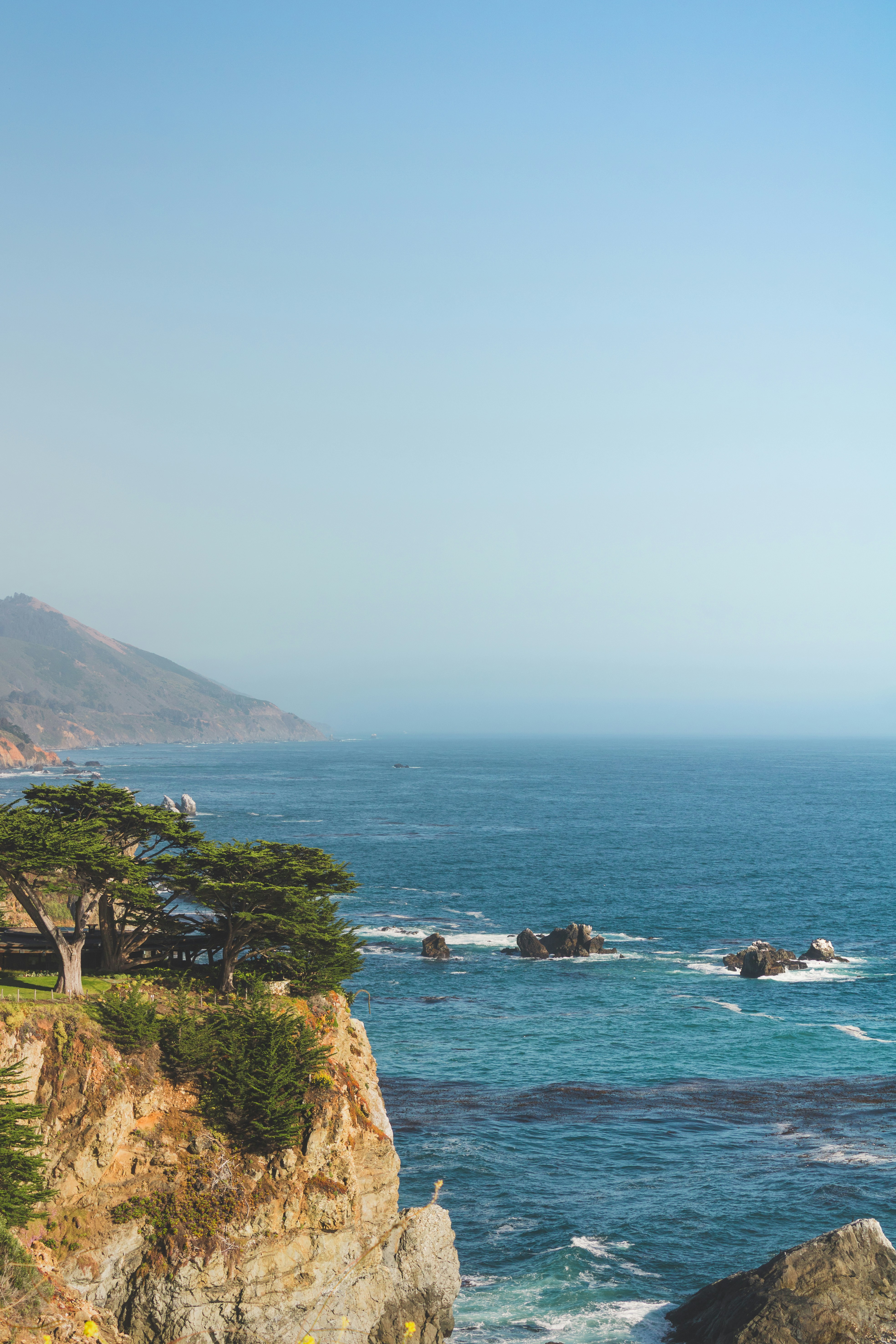 Cliffside Pines Embrace the Pacific Horizon
