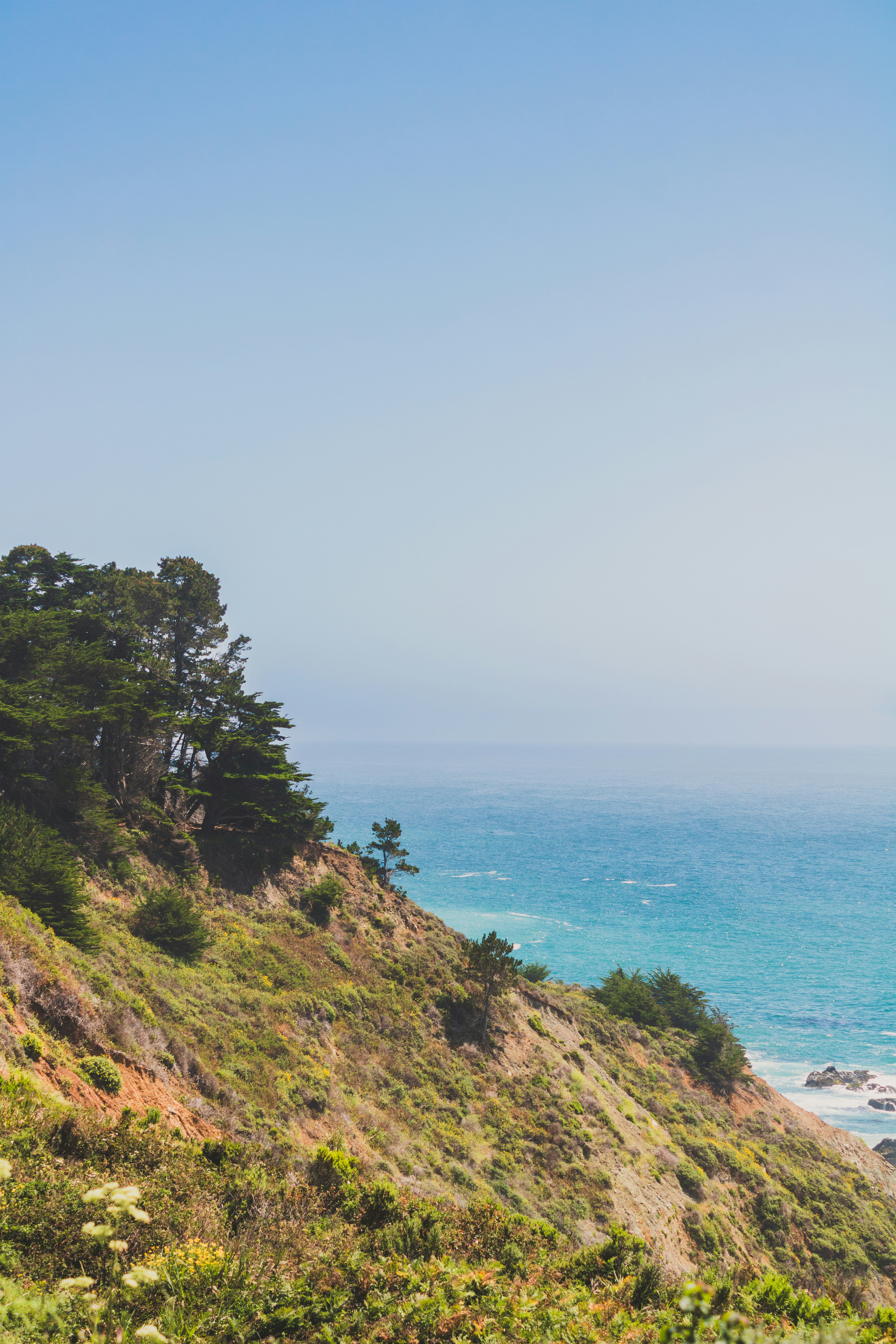 Coastal Cliffside Green: A Quiet Climb Above Turquoise Waters