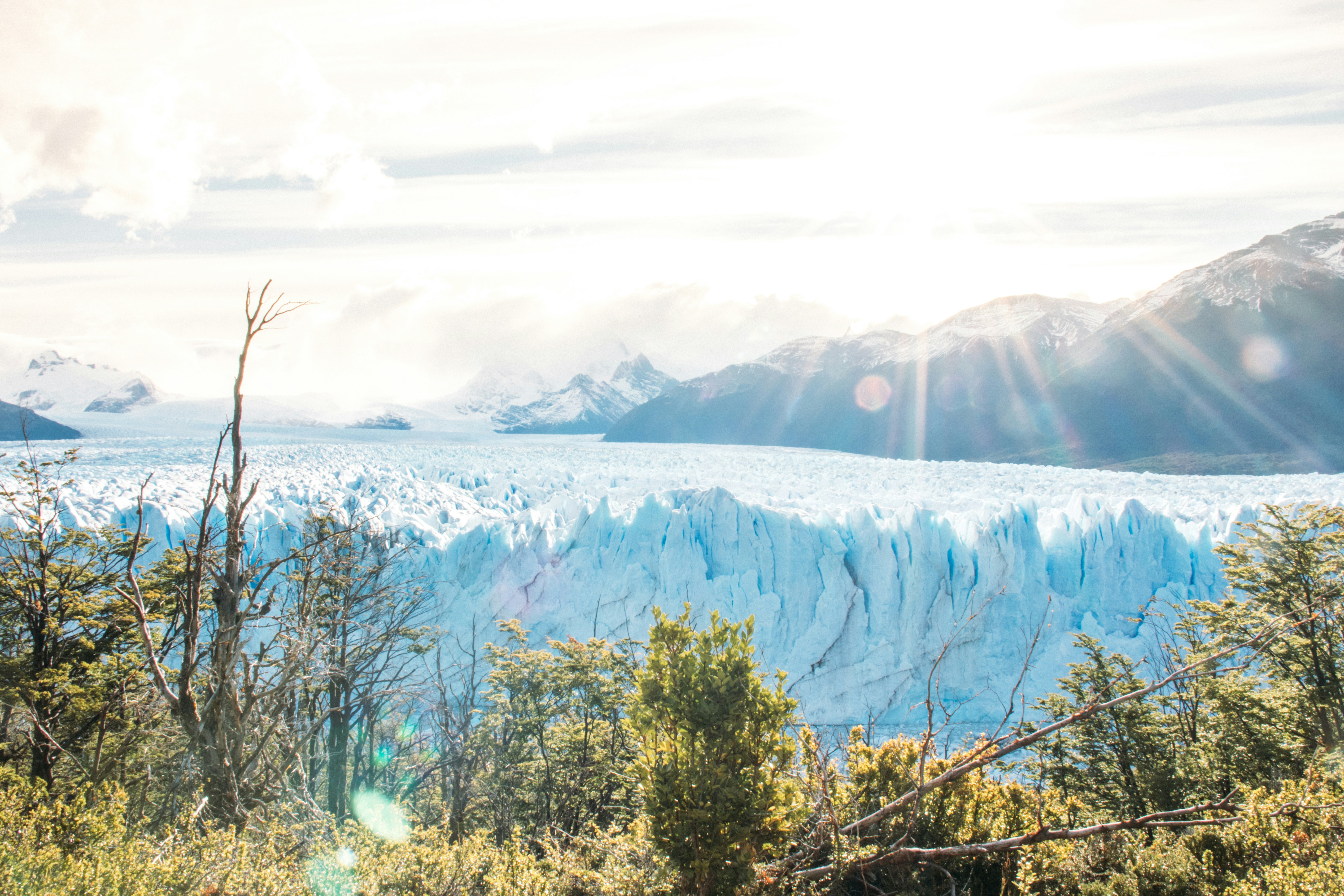 Snow-white glacier front framed by forest, sunlight rays cutting across the scene with lens flare and distant mountains in the background.